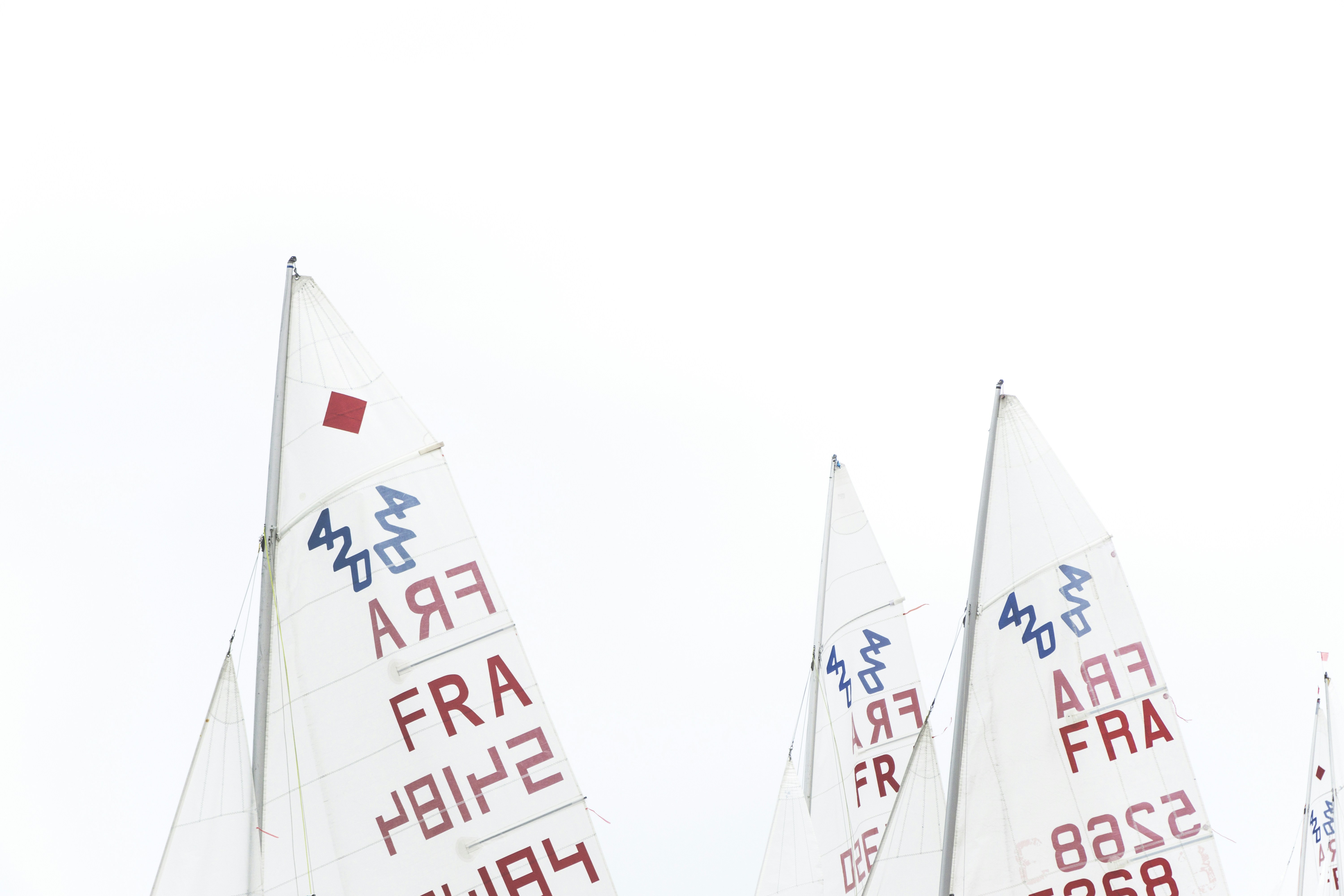 Three sailboats with white sails displaying red and blue markings, poised against a bright sky. The sails catch the gentle breeze, hinting at a day of sailing adventure.
