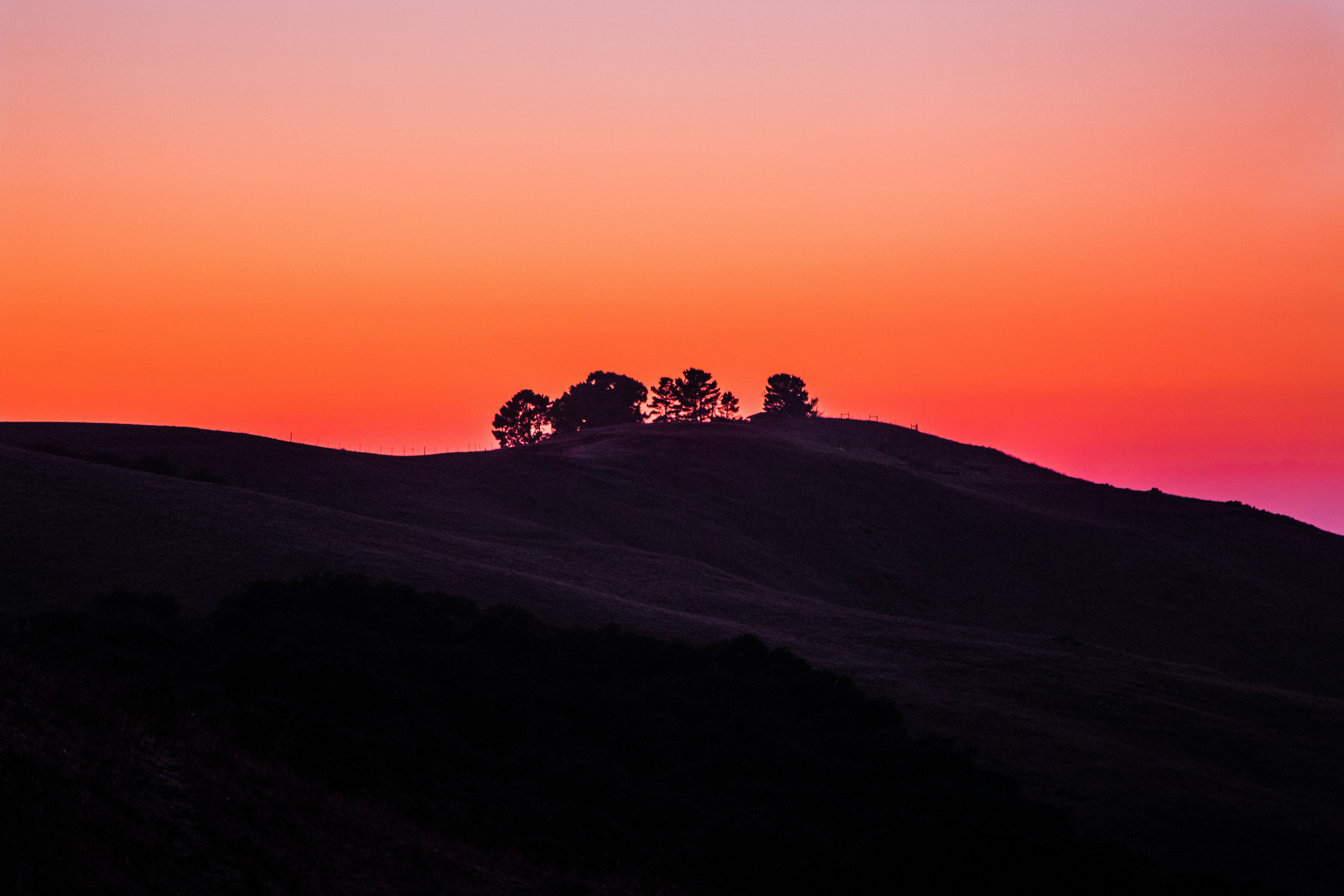Silhouetted trees atop rolling hills against a vibrant twilight sky transitioning from orange to deep purple.
