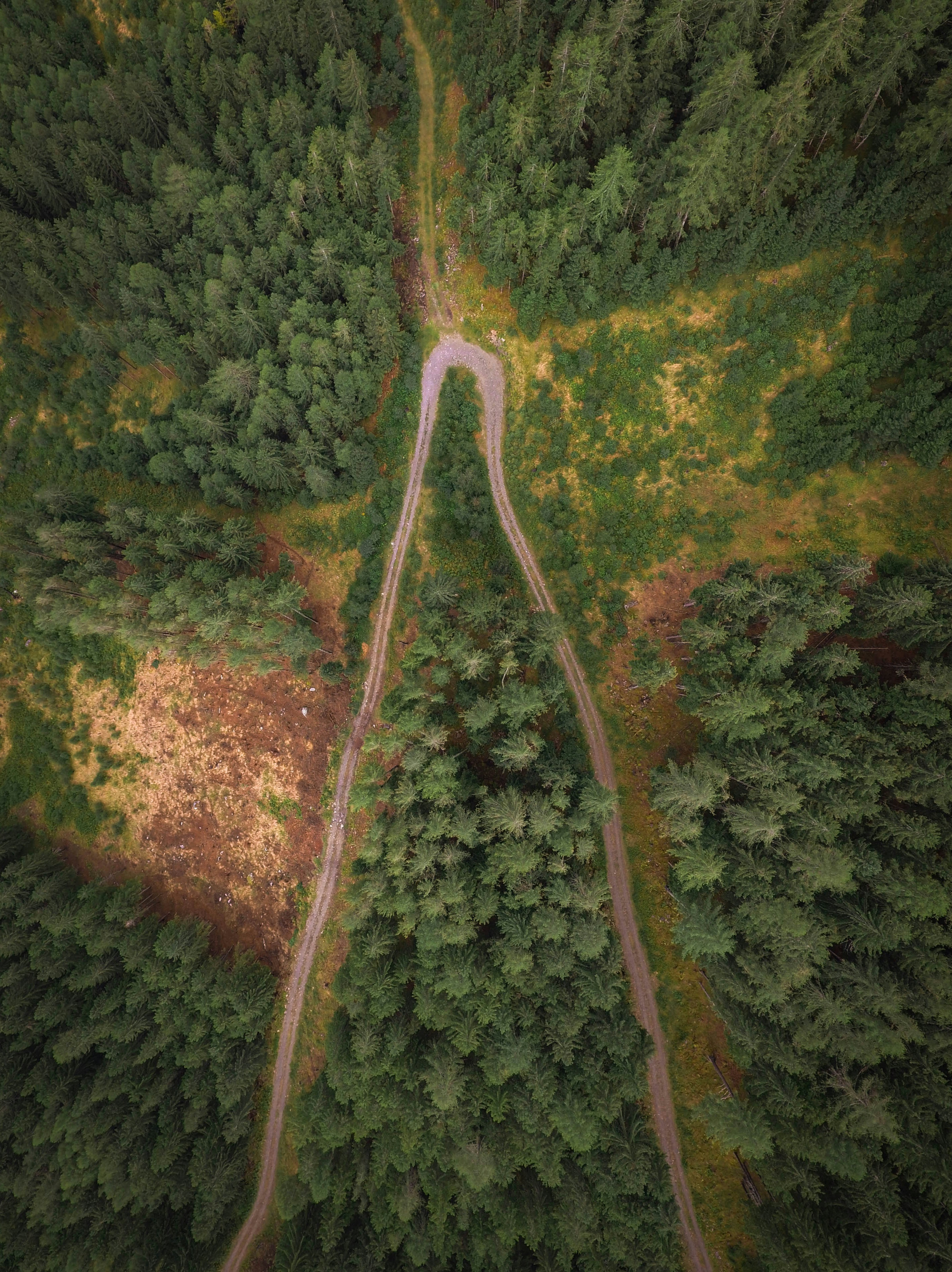 Aerial photography of dirt road surrounded by trees at daytime photo ...