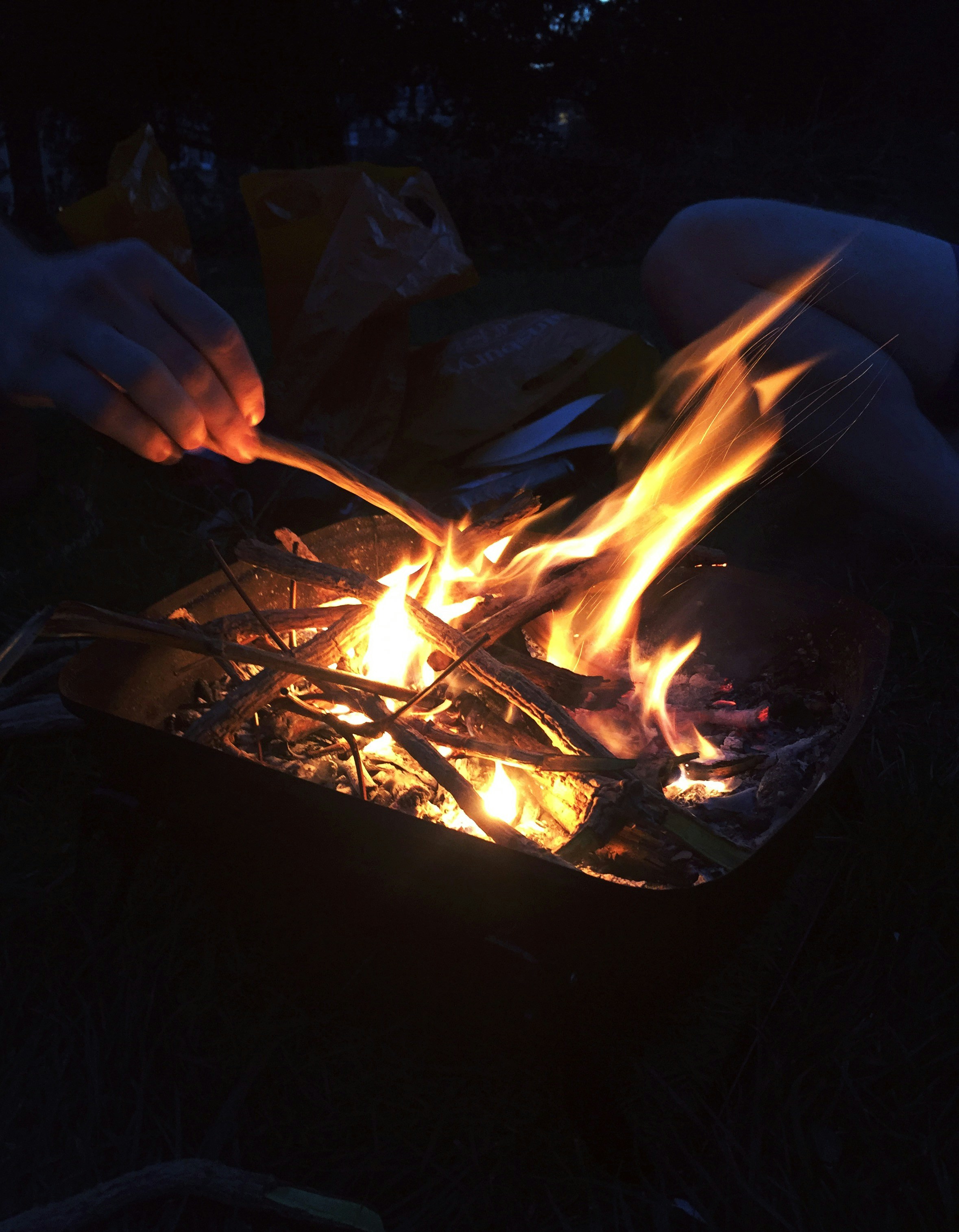 Molly Gosney (@mollygosney) | Unsplash Photo Community