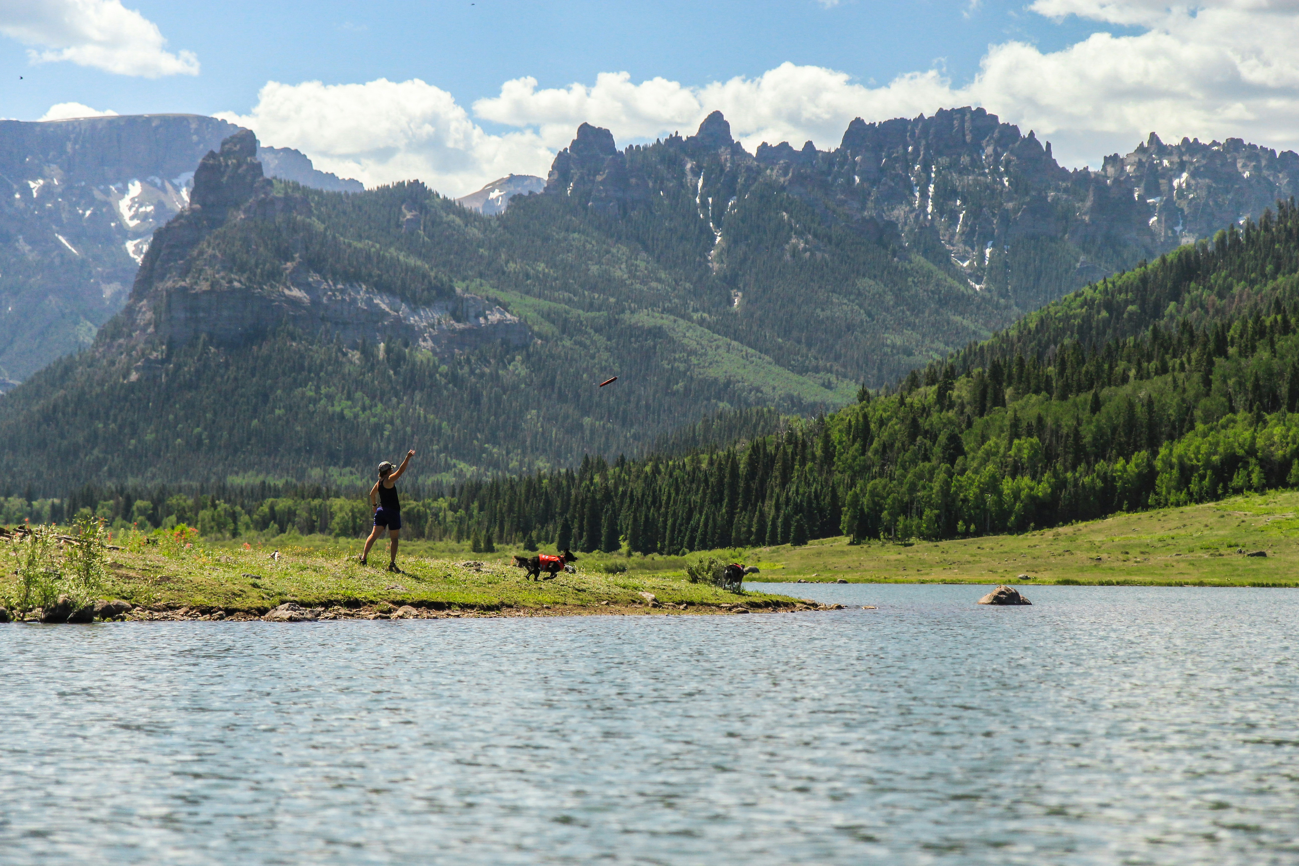 Woman raising right hand photo – Free Forest Image on Unsplash