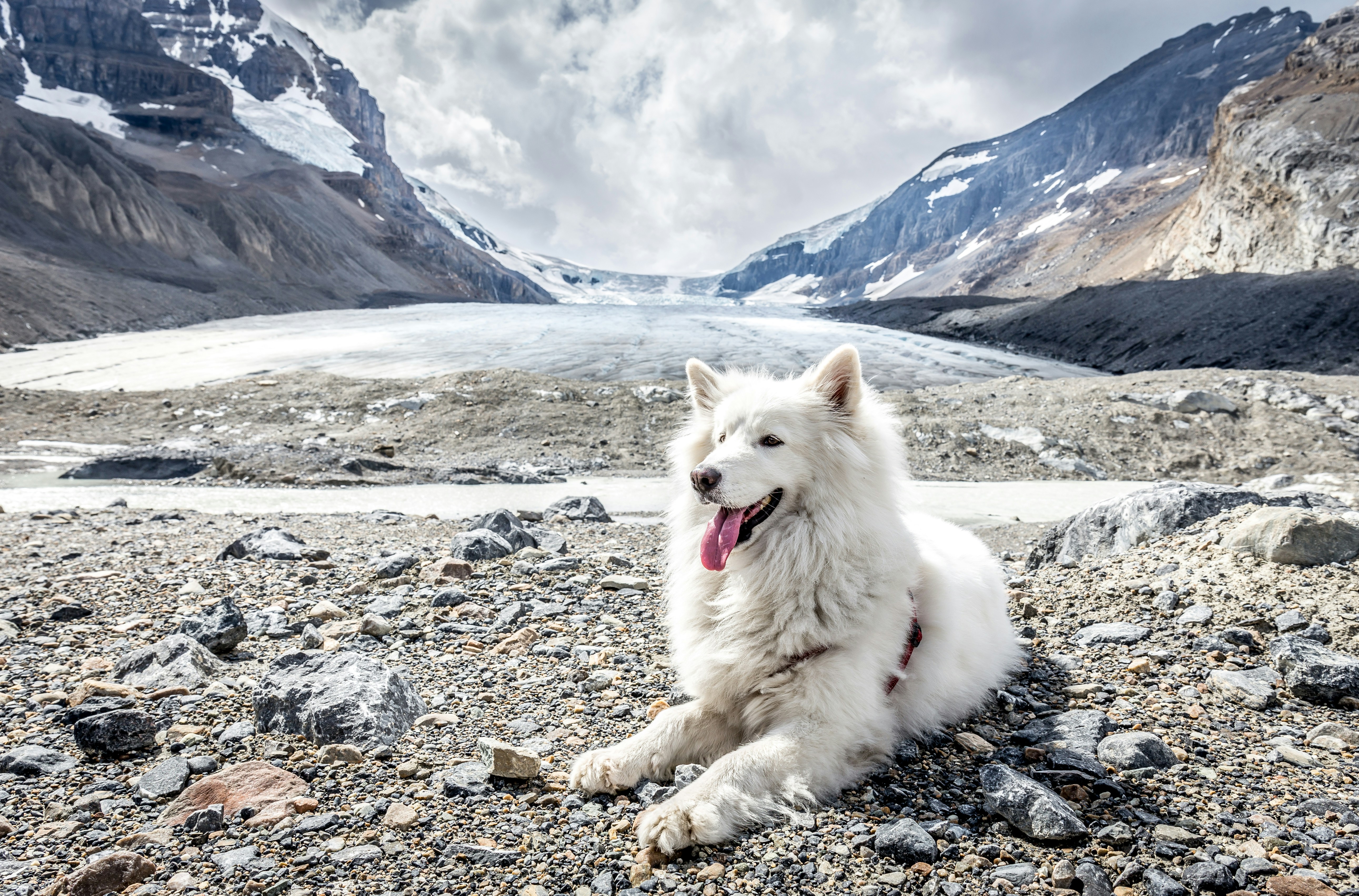 Jf Brou (@jfbrou) | Communauté photos Unsplash