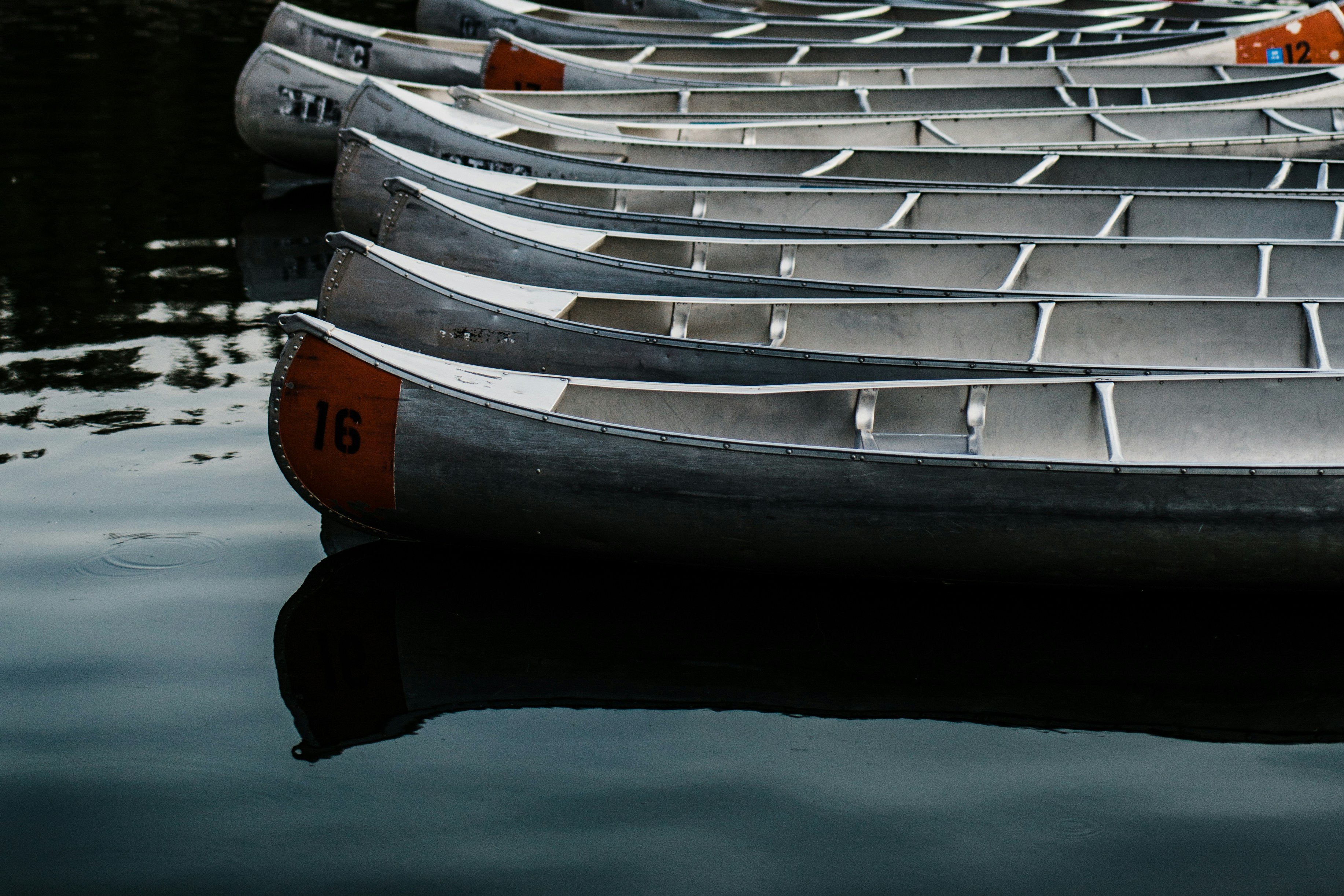 A row of silver canoes rests peacefully on calm water, showcasing their reflective surfaces and numbered details.