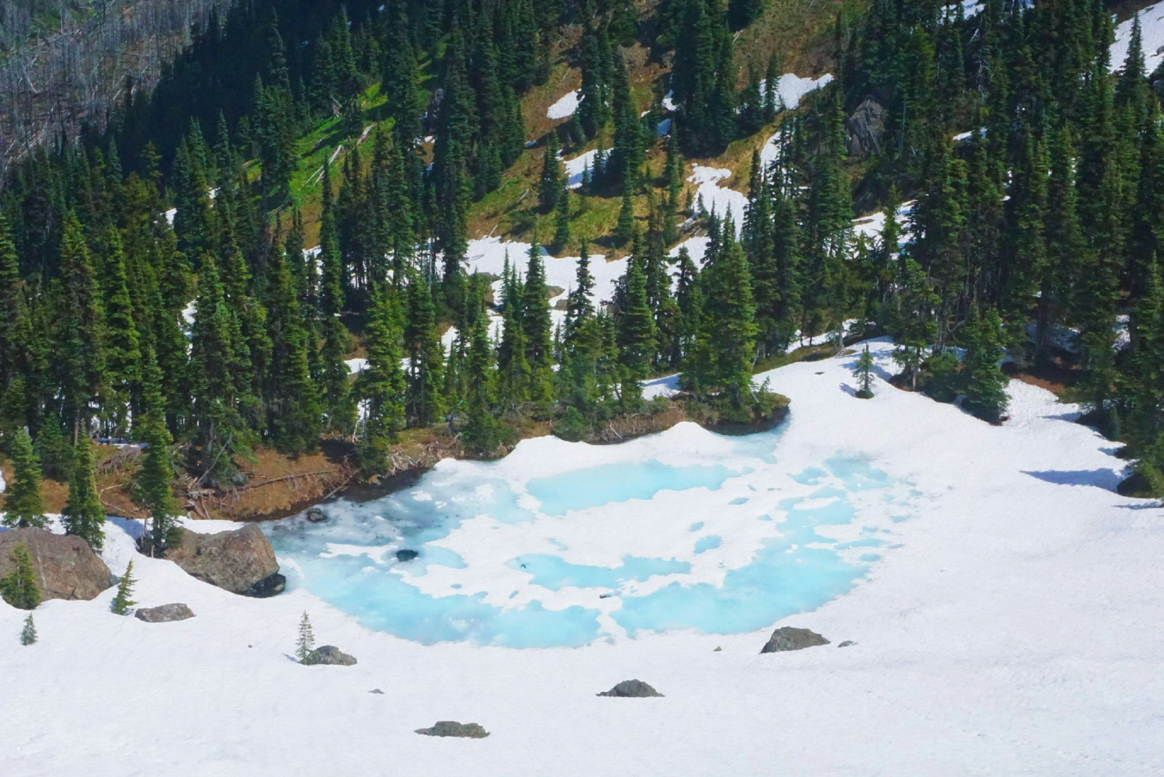 Hurricane Ridge is one of the most popular hikes in Olympic National Park. Even during the heat of the summer, as I trekked up the mountain, the ice stayed put, not melting at all. Laying in the 80 degrees heat with the snow underneath my feet, it’s a great spot. And this photo is a reflection of that. | aerial view of green trees beside body of water
