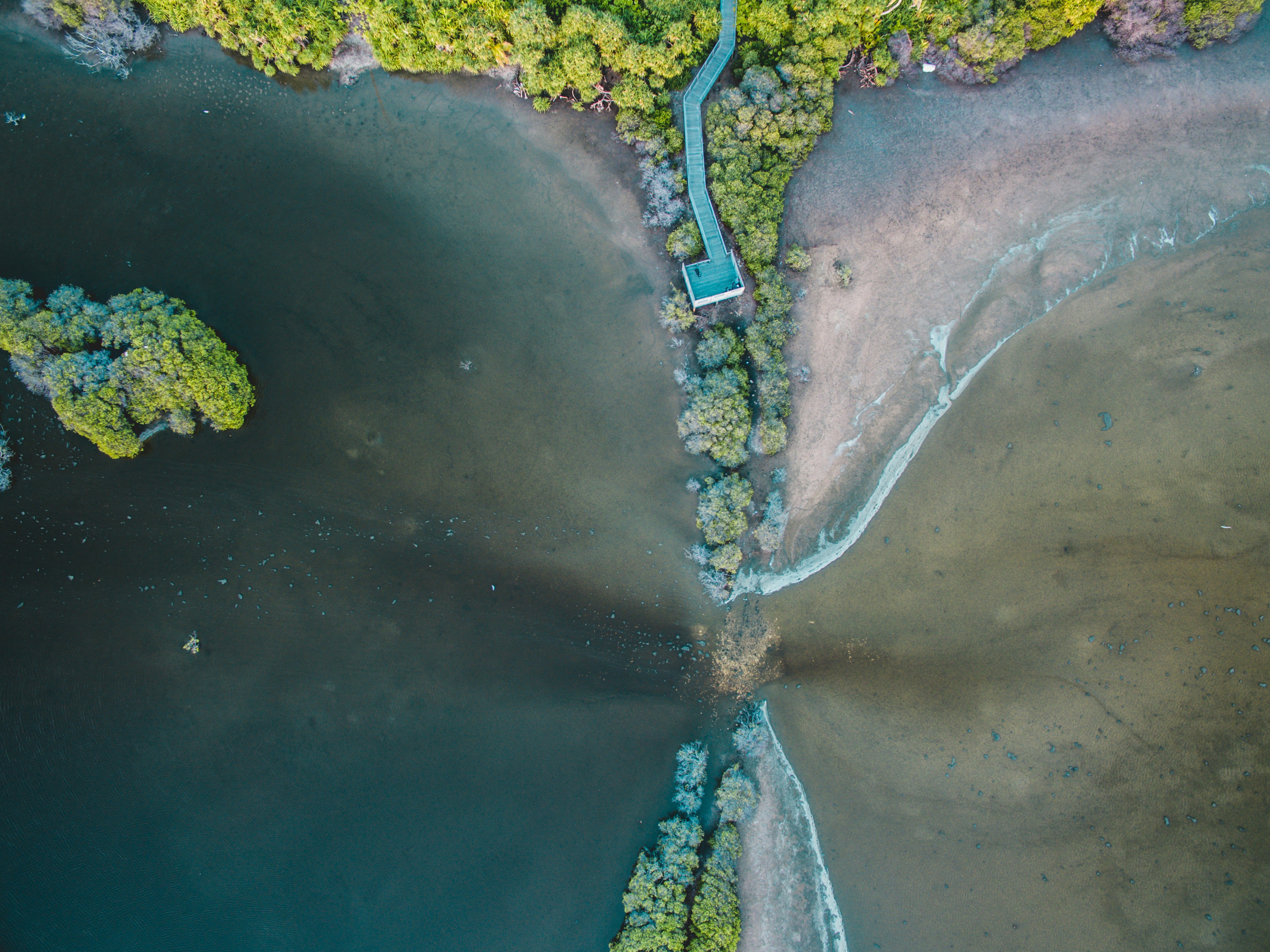 Aerial view of a winding boardwalk cutting through lush greenery over shallow waters.
