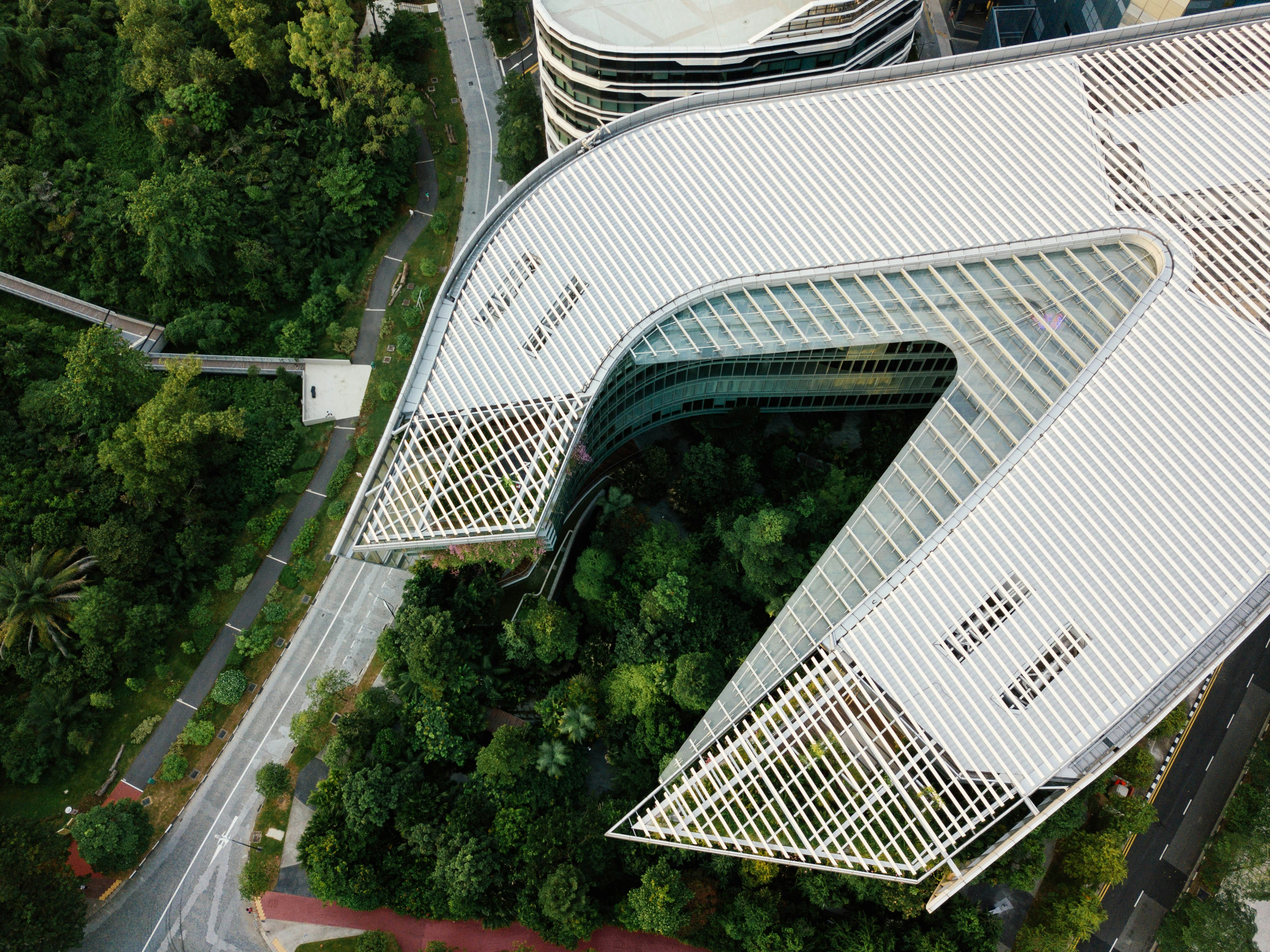 Curved Roof Ribbon Framing a Green Atrium