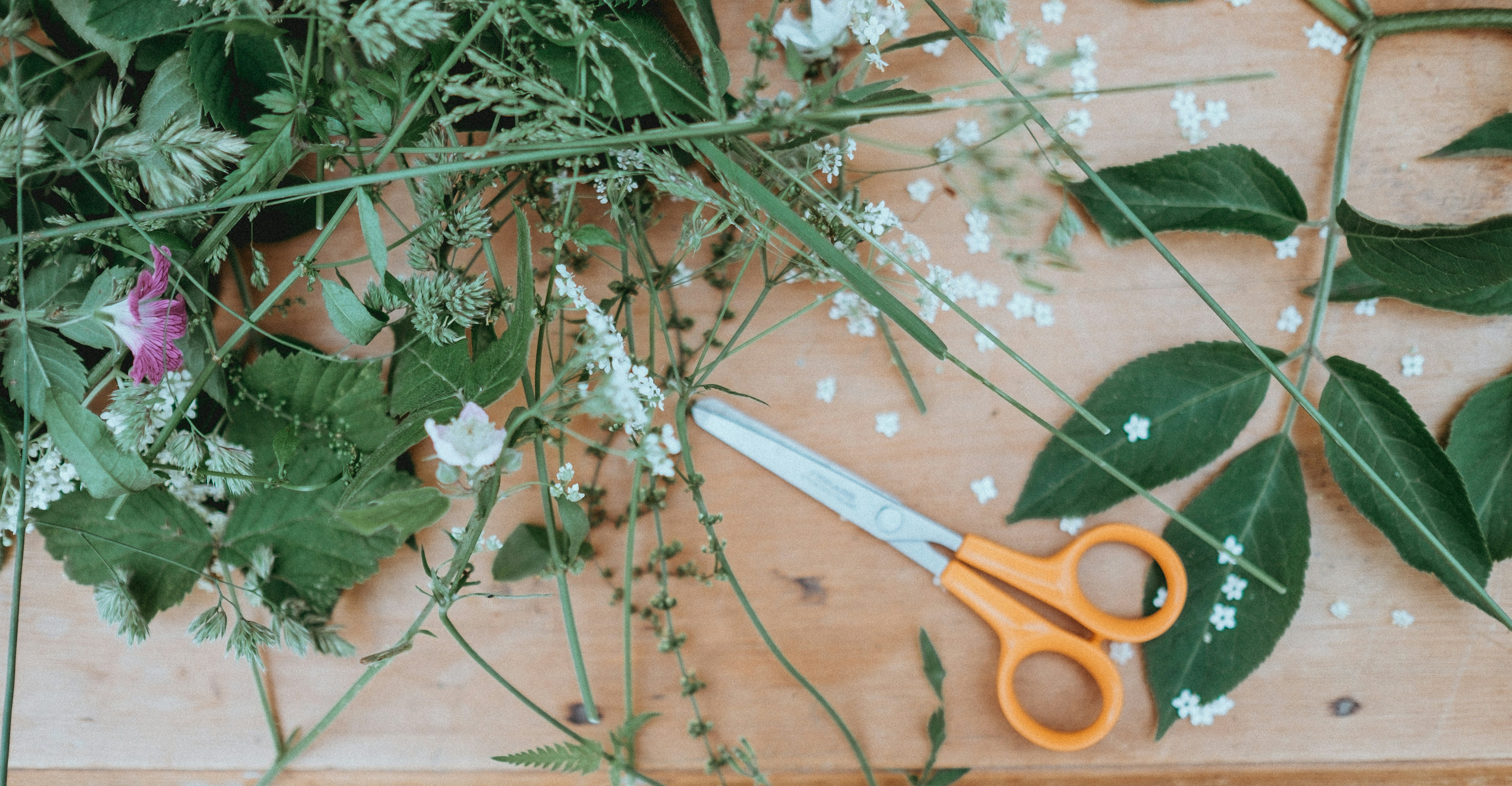 A collection of fresh green foliage and delicate flowers arranged on a wooden surface, accompanied by a pair of orange scissors, suggesting a floral crafting activity.