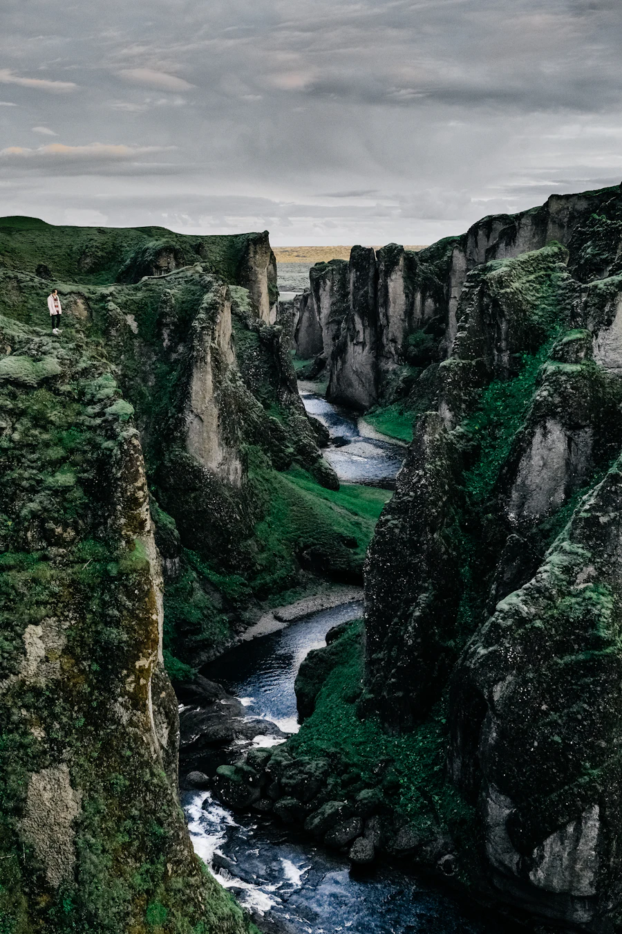 A small person stands on a grassy cliff edge above a deep, moss-covered canyon with a winding river below. Gray clouds hang over the rugged landscape and distant sea.