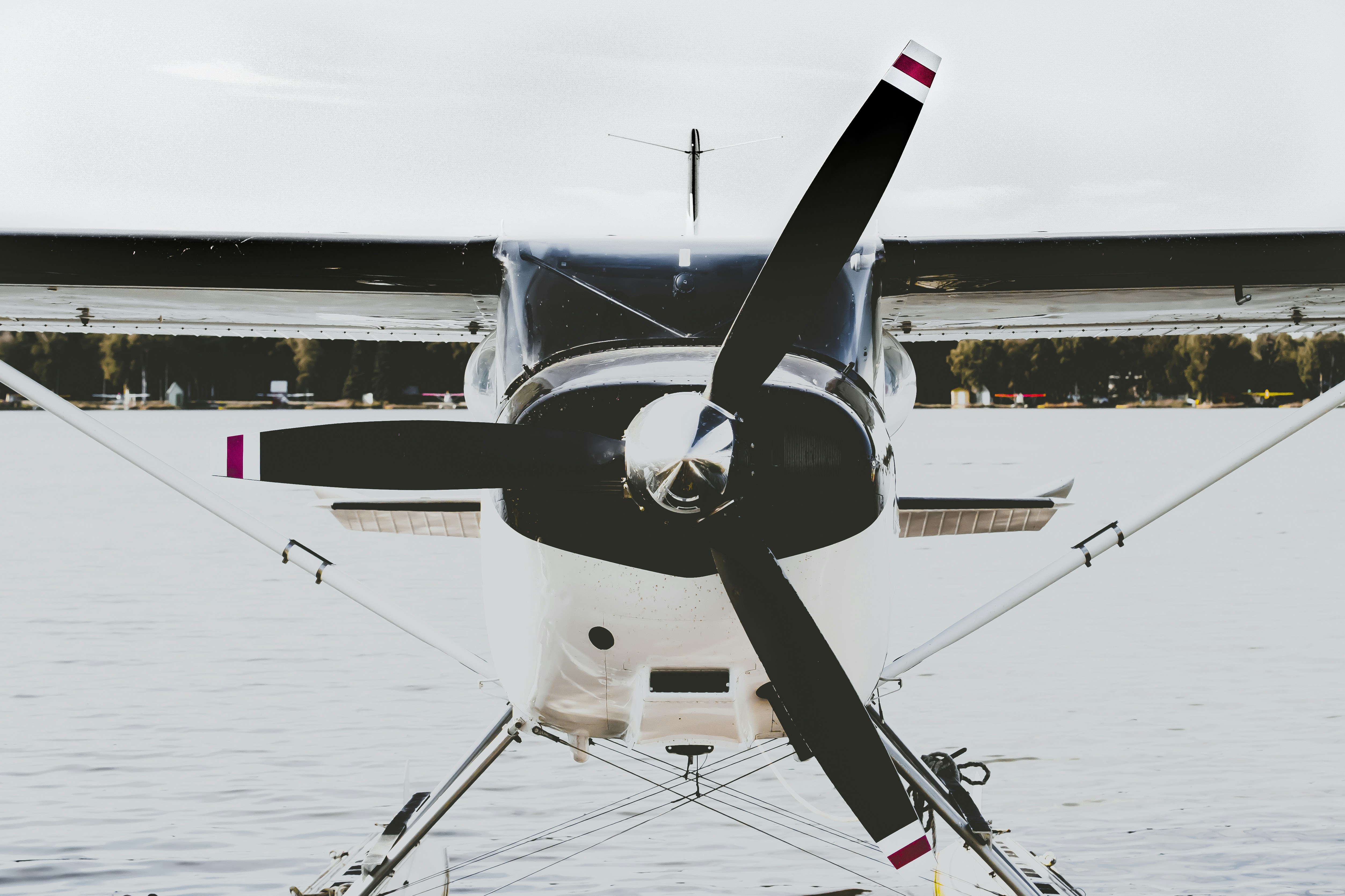 Face To Face | white and black propeller plane