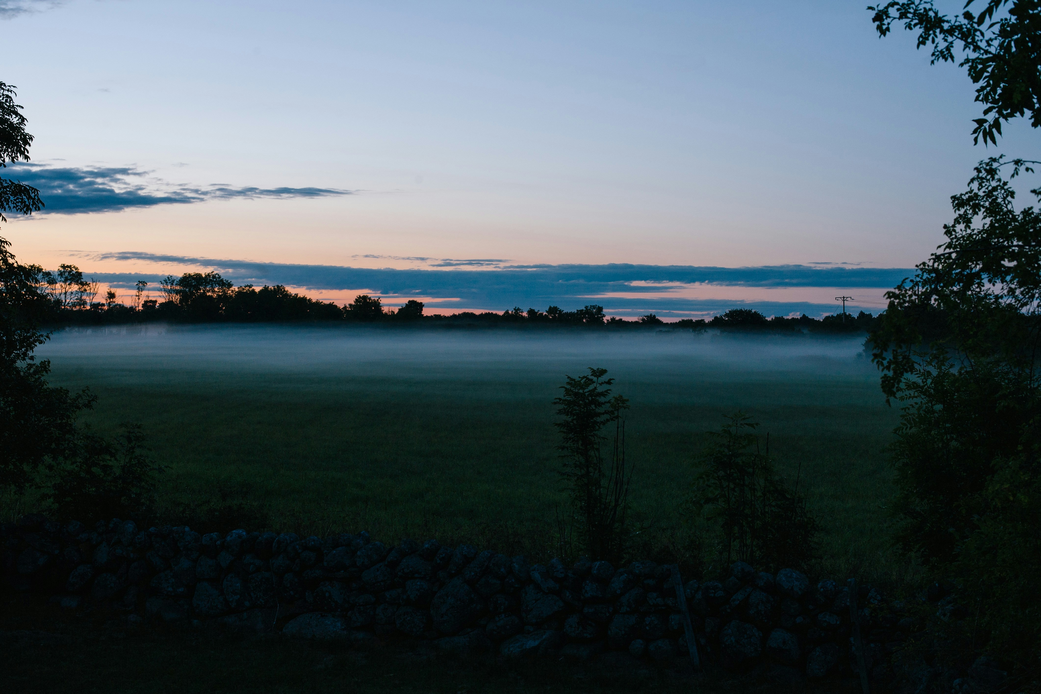 Mist on the Meadow: Dawn Fog Across a Stone-Walled Field