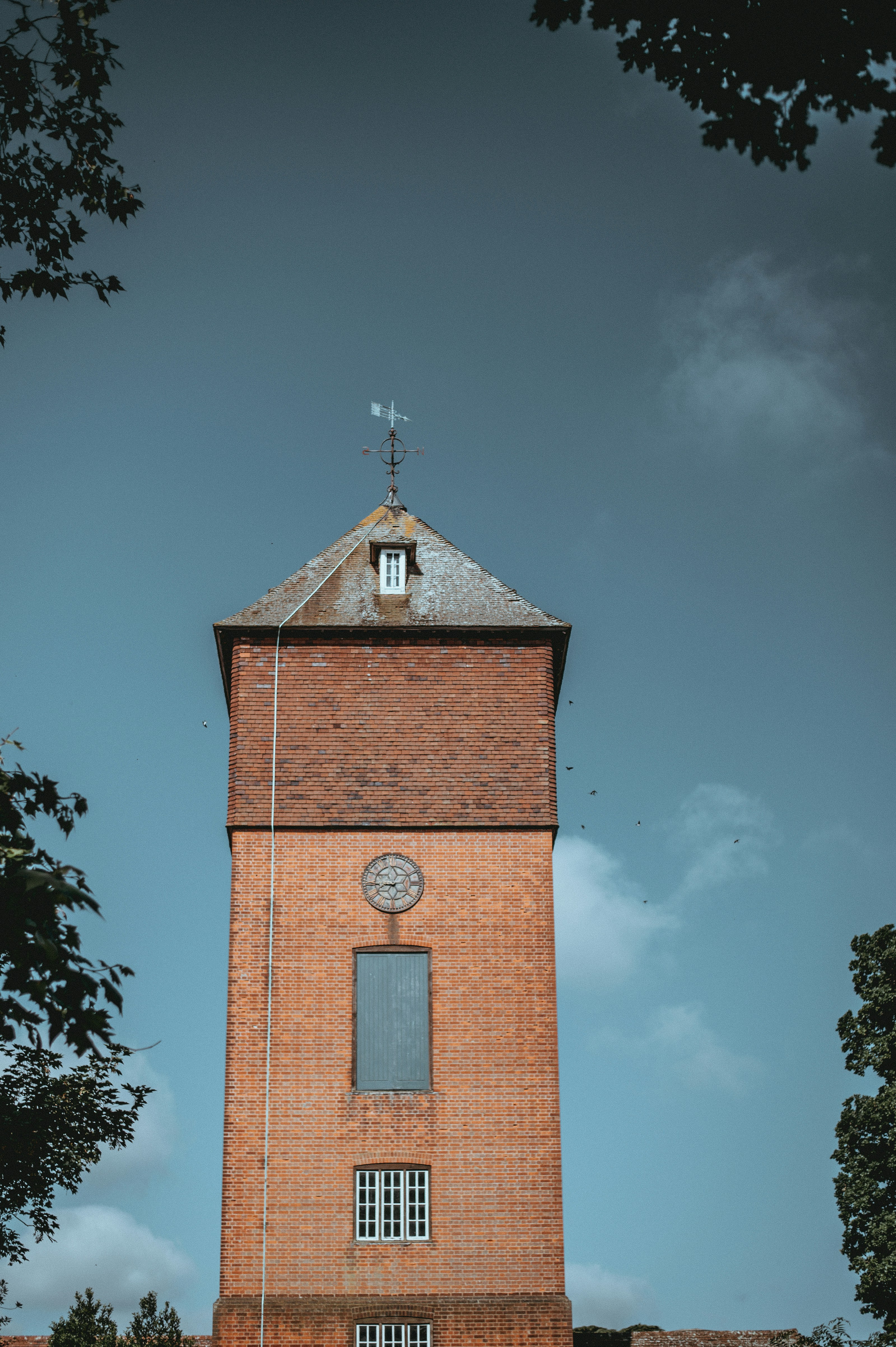 House Martins flying around Exbury Water Tower