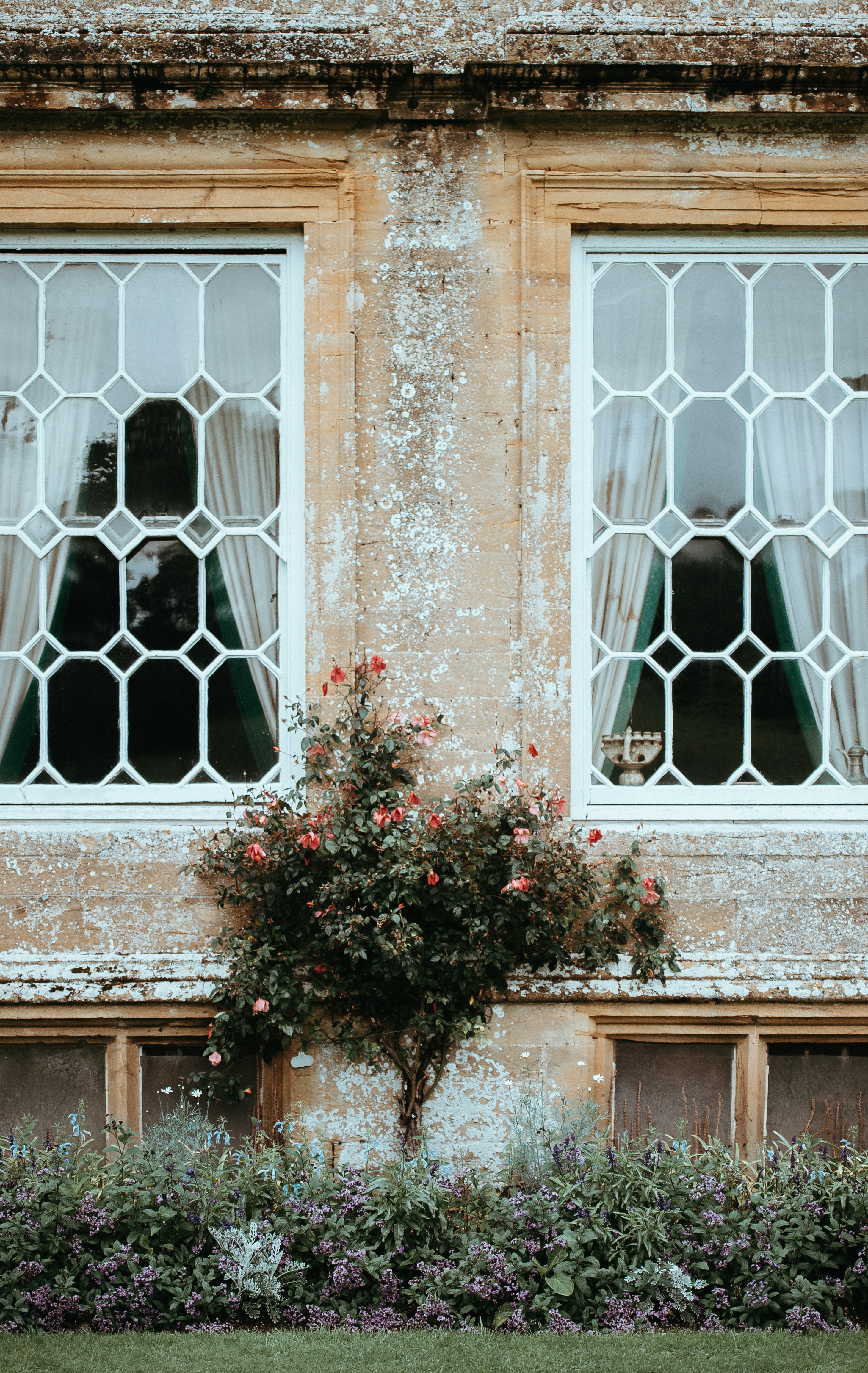 A charming stone facade features two ornate windows framed by lush greenery and vibrant flowers, creating a serene atmosphere.
