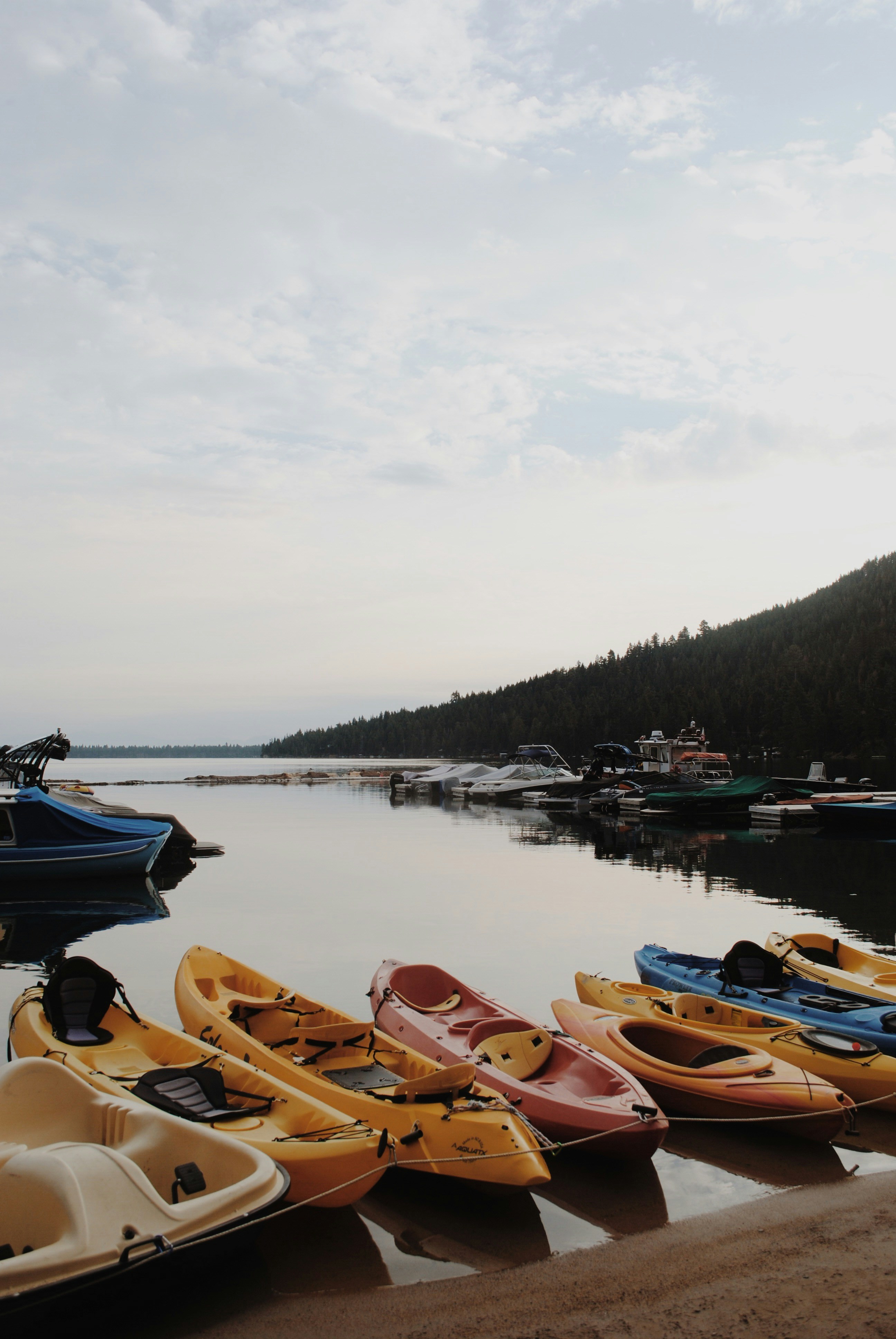 Cheyenne Knowles (@cheyenneknowles) | Unsplashフォトコミュニティ