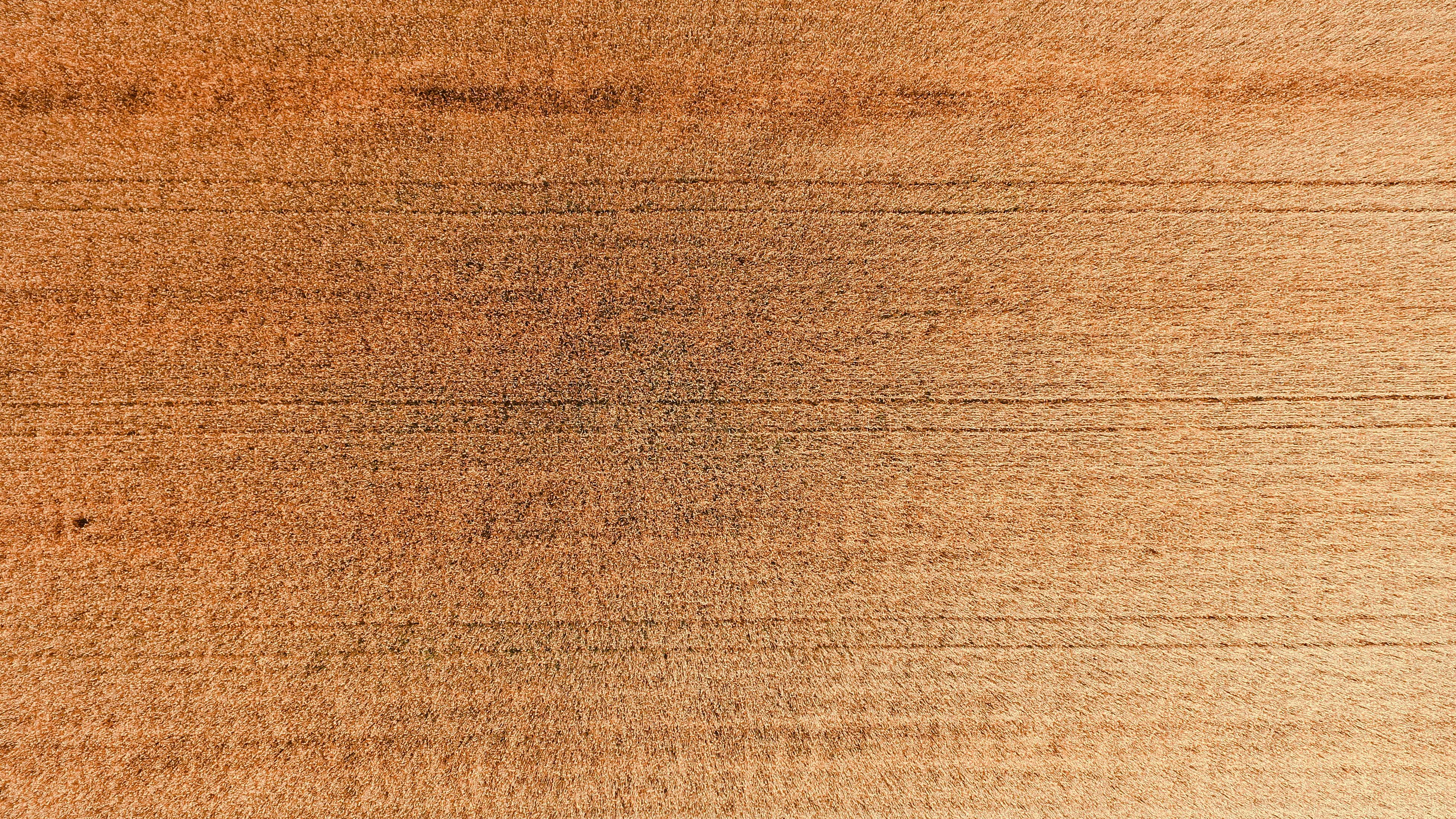 Foto Close-up sepotong kayu – Gambar Musim gugur Gratis di Unsplash