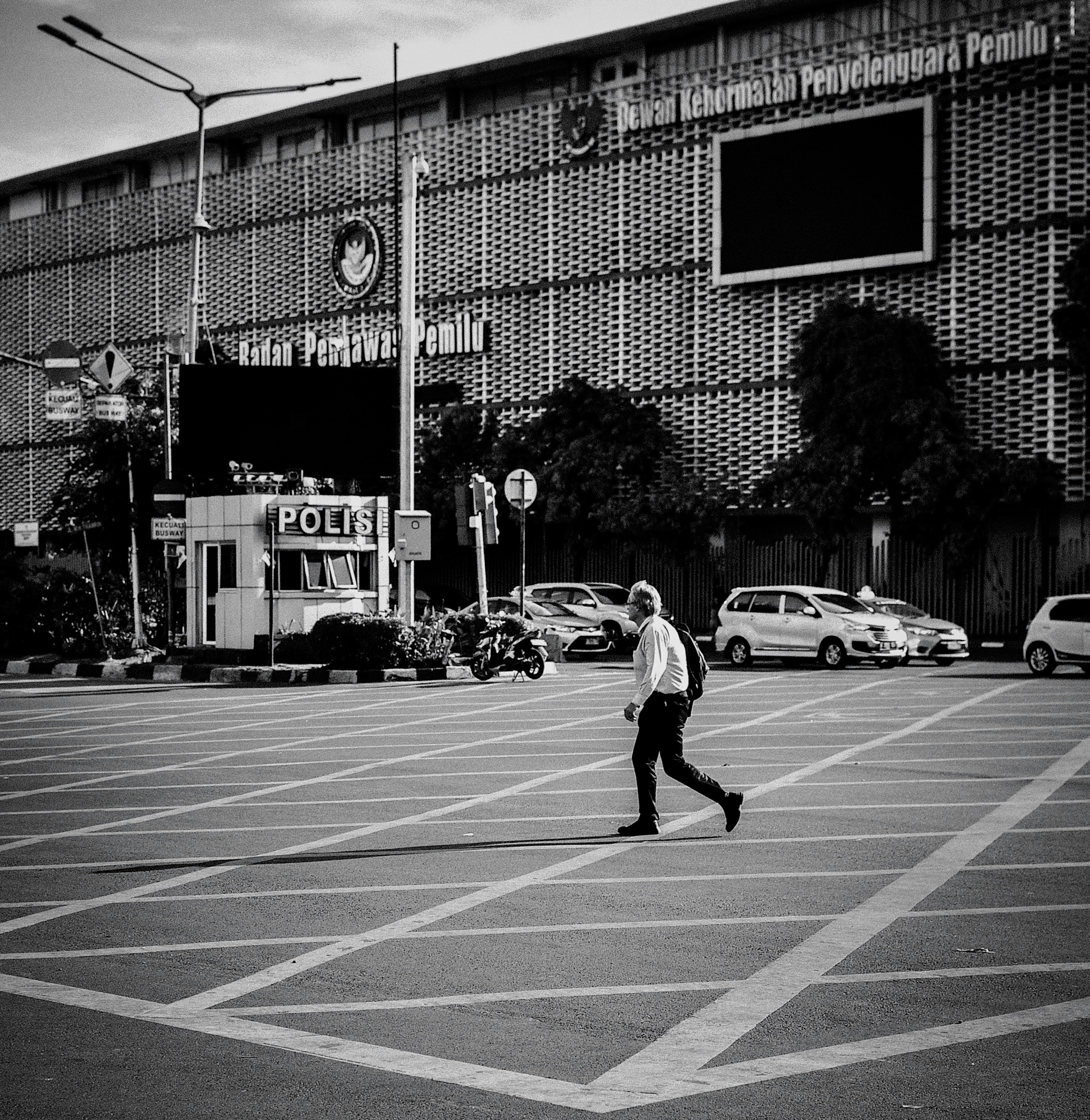 Urban Solitude: A Man's Journey Across the Crosswalk