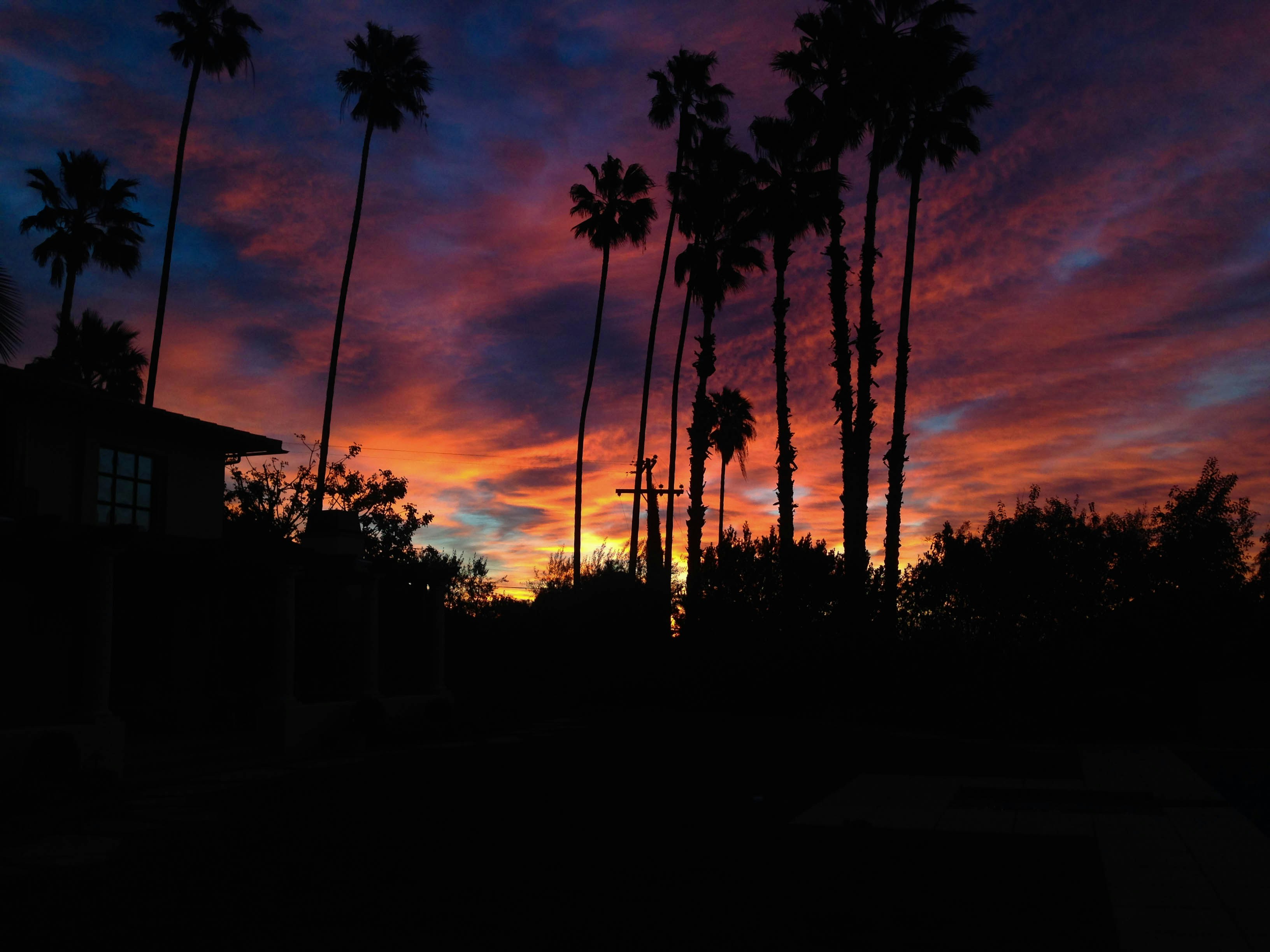 Georgia Vagim (@georgiavagim) | Unsplash 사진 커뮤니티