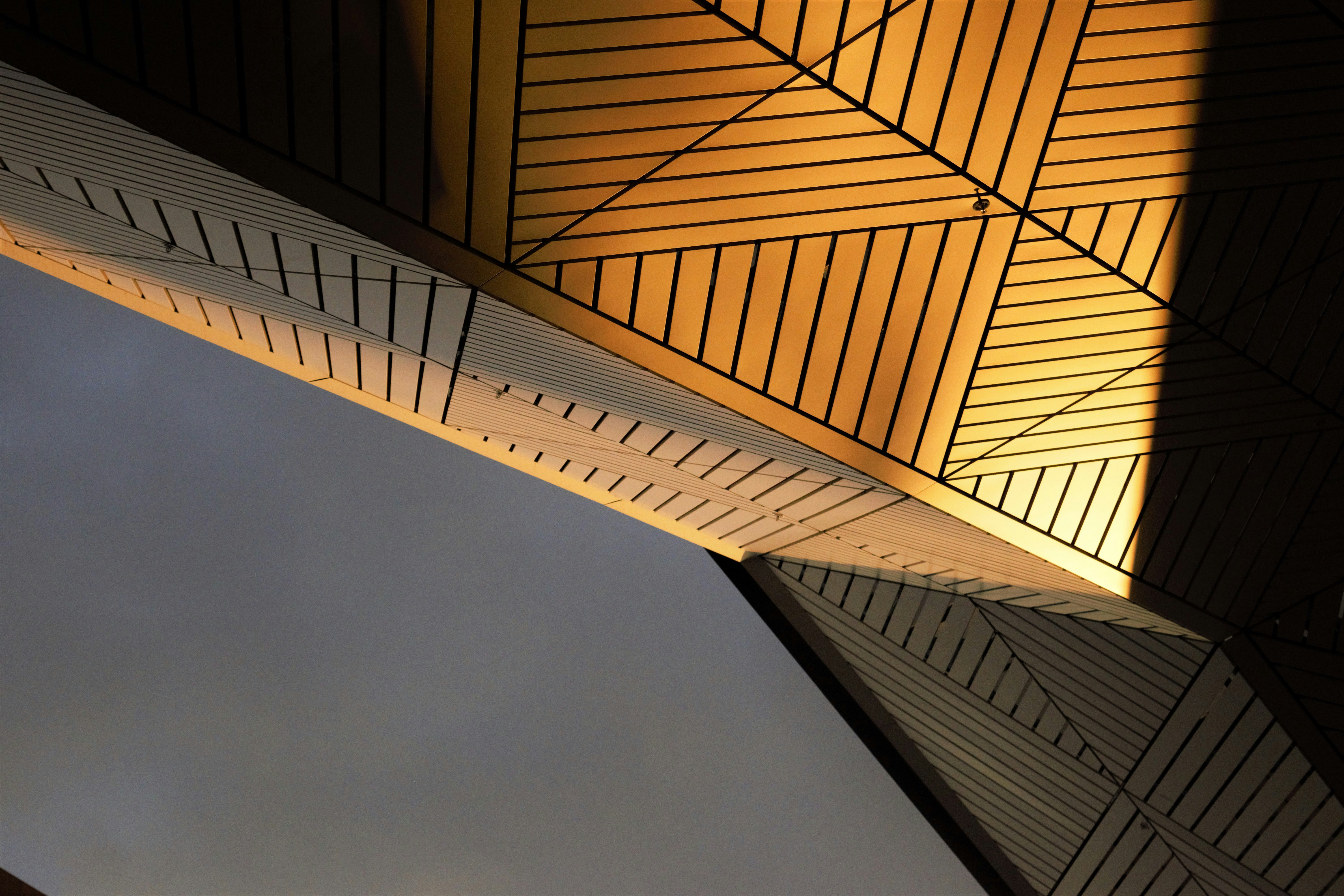 Joshua Mauricio (@fishiiiie) | Unsplashフォトコミュニティ