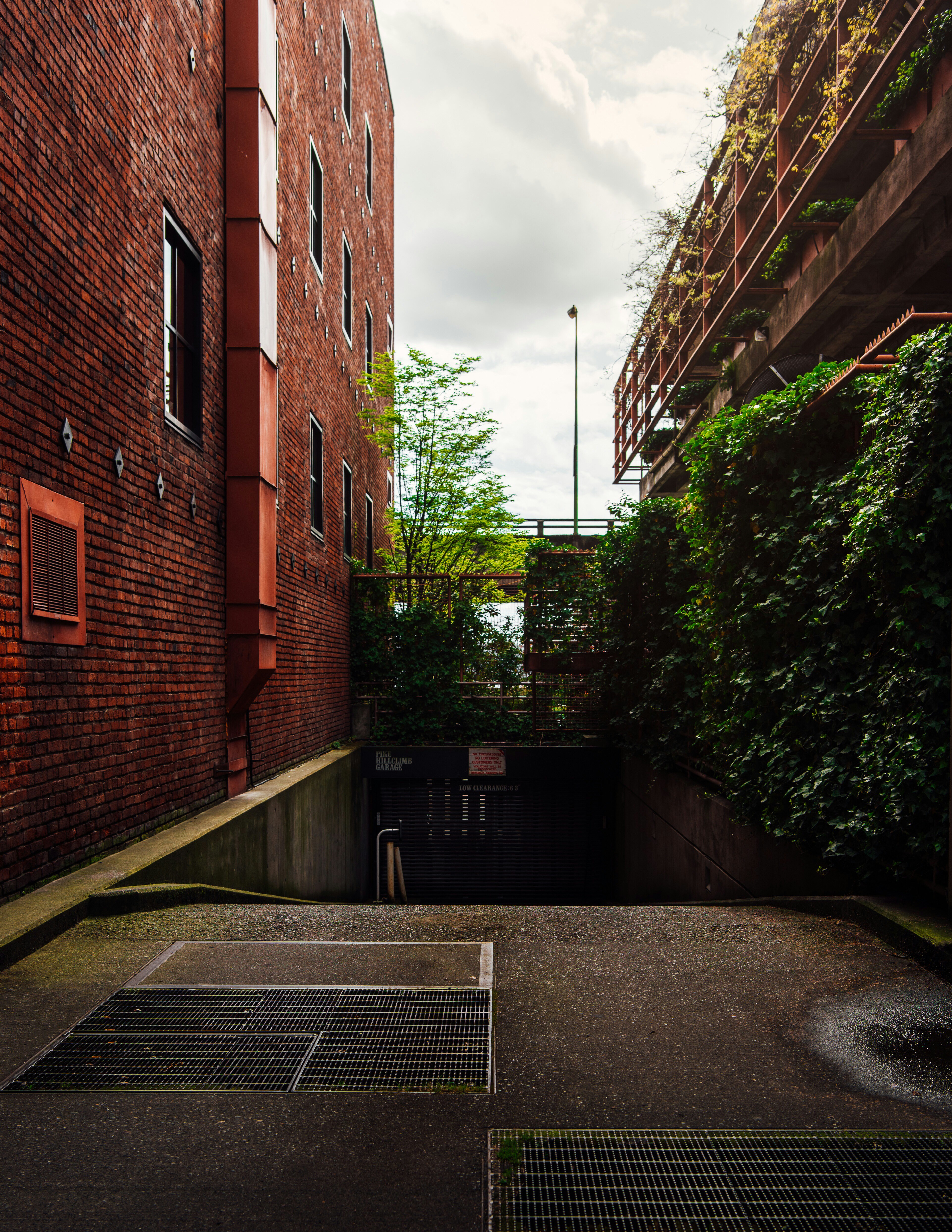 A narrow alleyway flanked by red brick buildings and lush greenery, leading to a hidden entrance. The juxtaposition of urban architecture and nature highlights the coexistence of the two worlds.