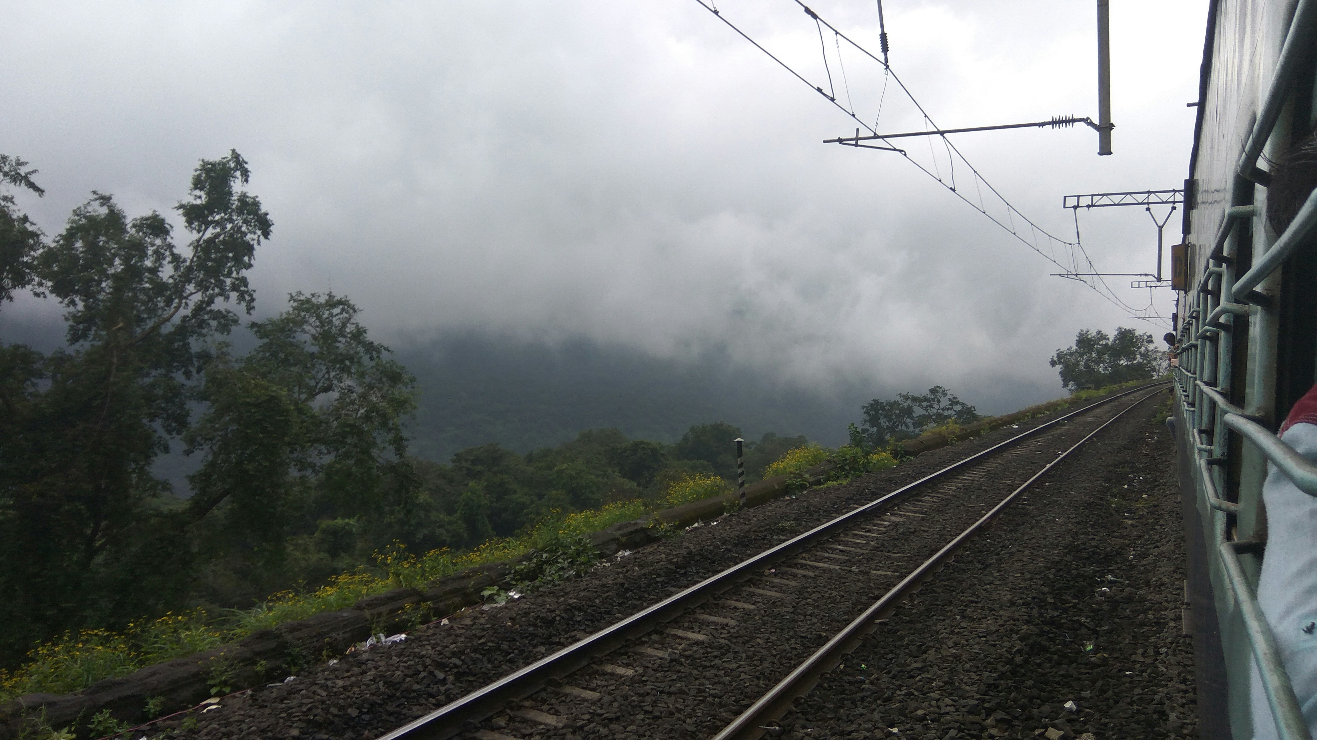Train tracks winding through lush greenery under a cloudy sky, evoking a sense of adventure and tranquility.