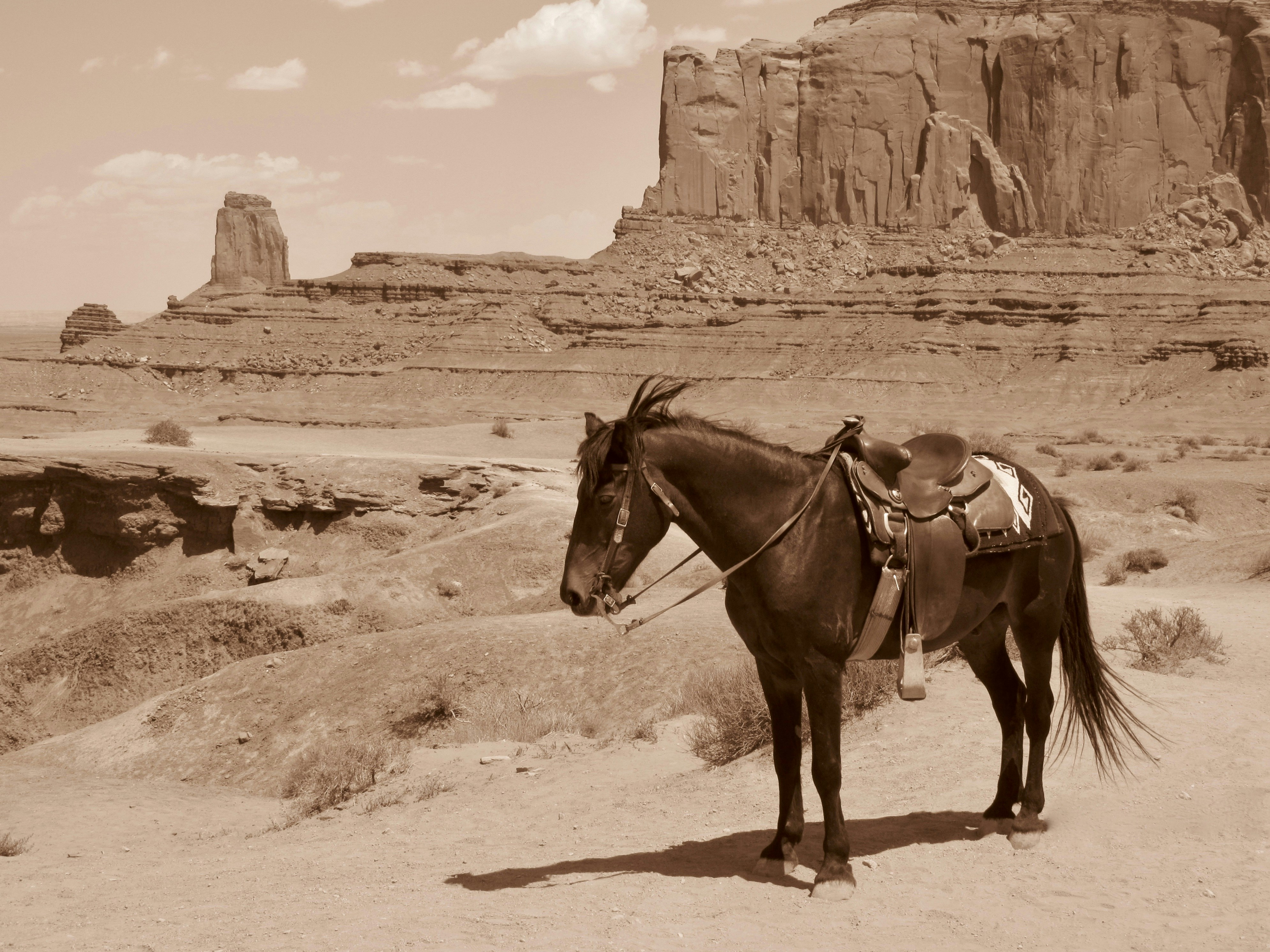 Sepia-toned horse standing in a vast desert landscape with towering rock formations.