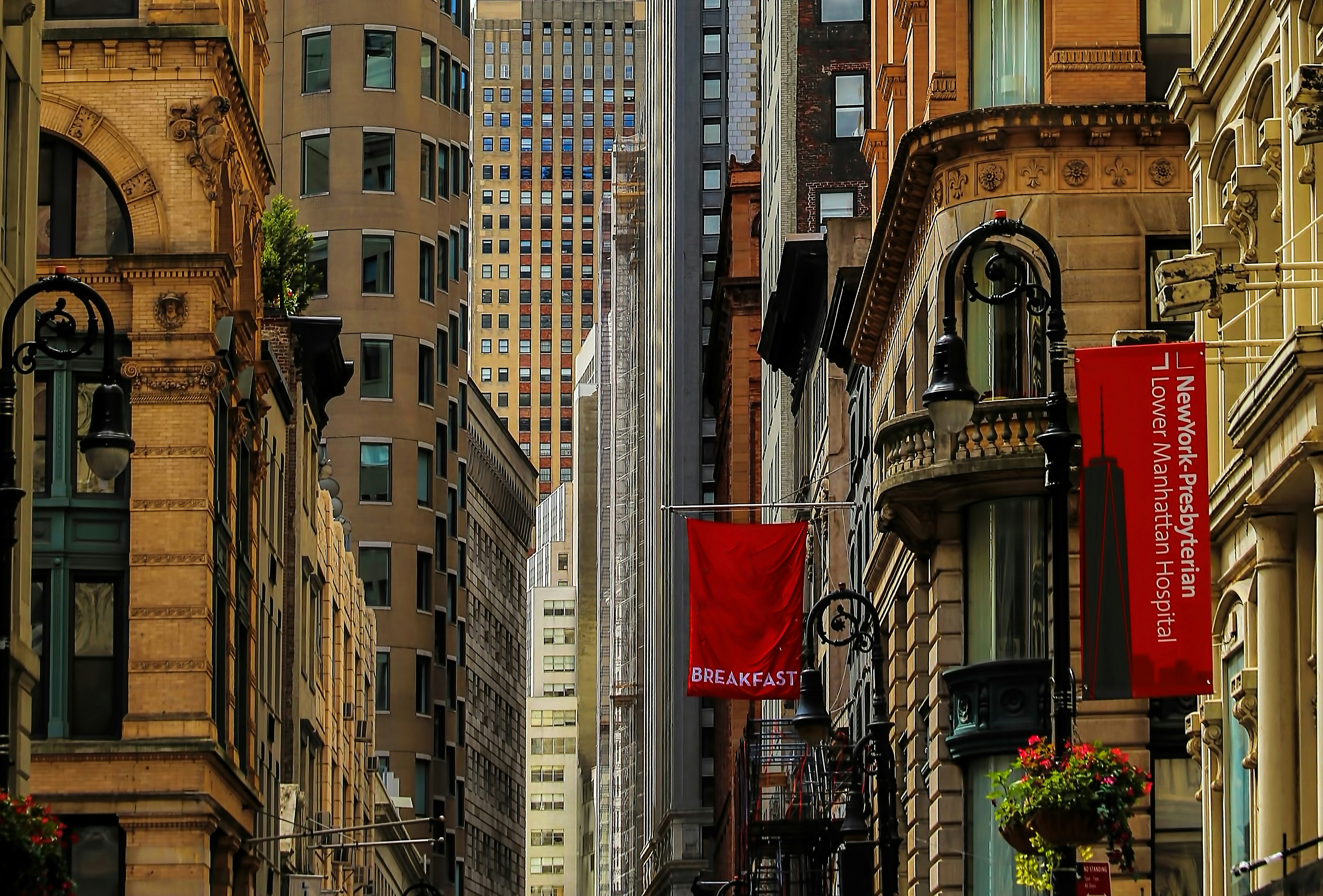 Between Stone Giants: A Red Breakfast Banner Framing Downtown Canyon