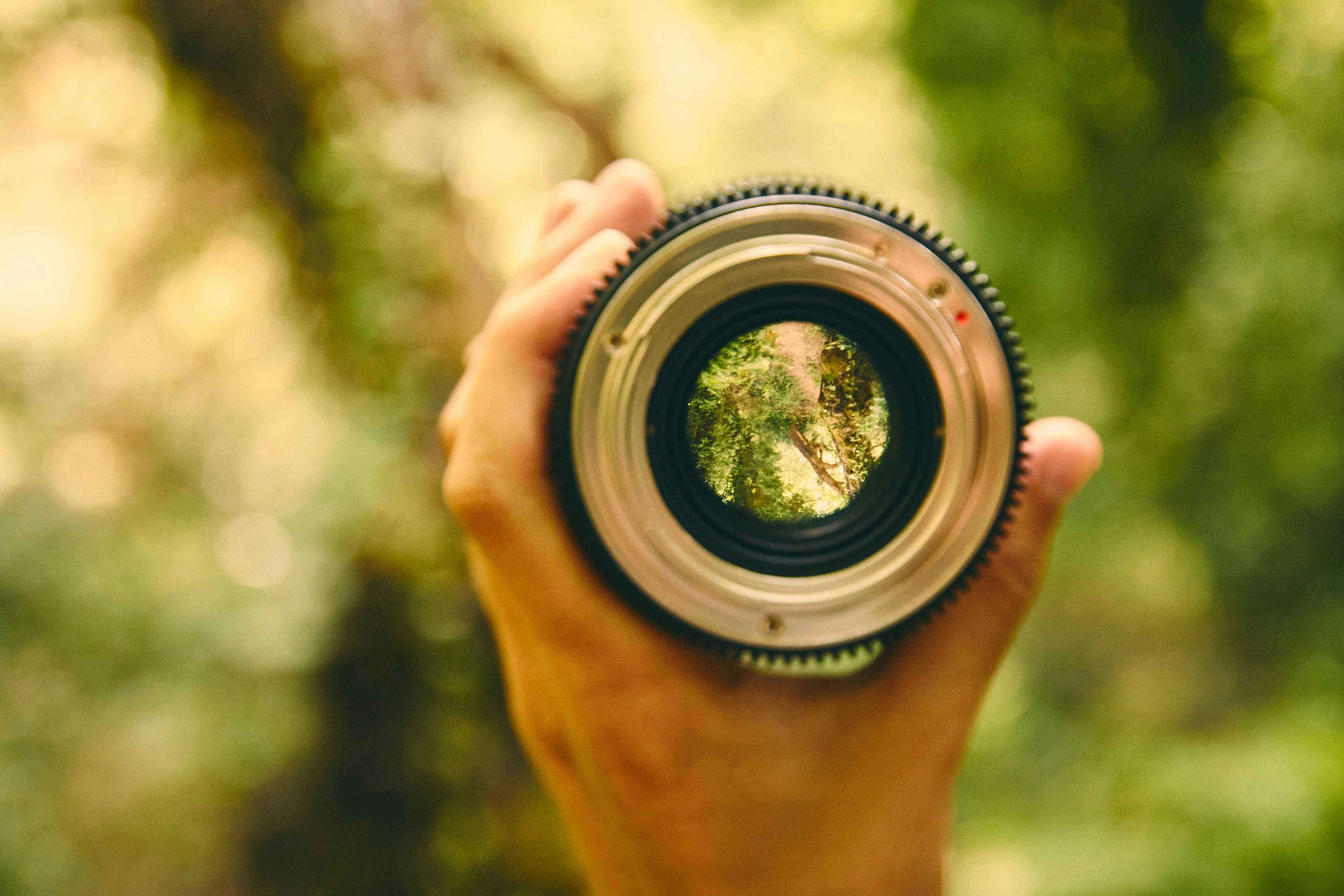 Hand holding a camera lens with a forest scene reflected in the glass.