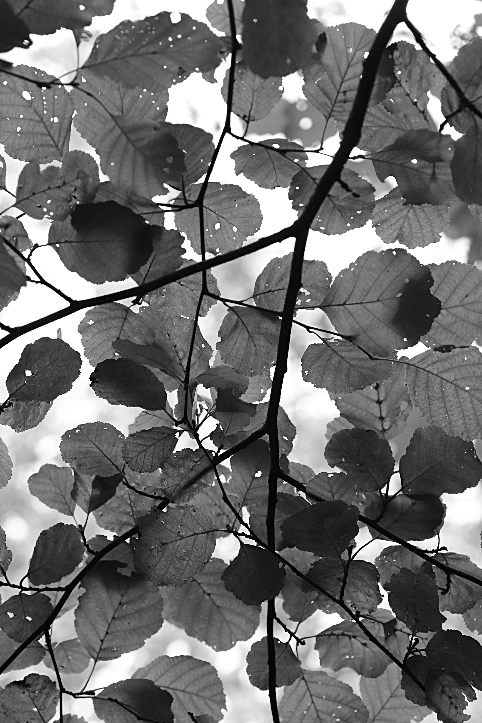 Corinna Hardware (@casey1) | Unsplash Photo Community