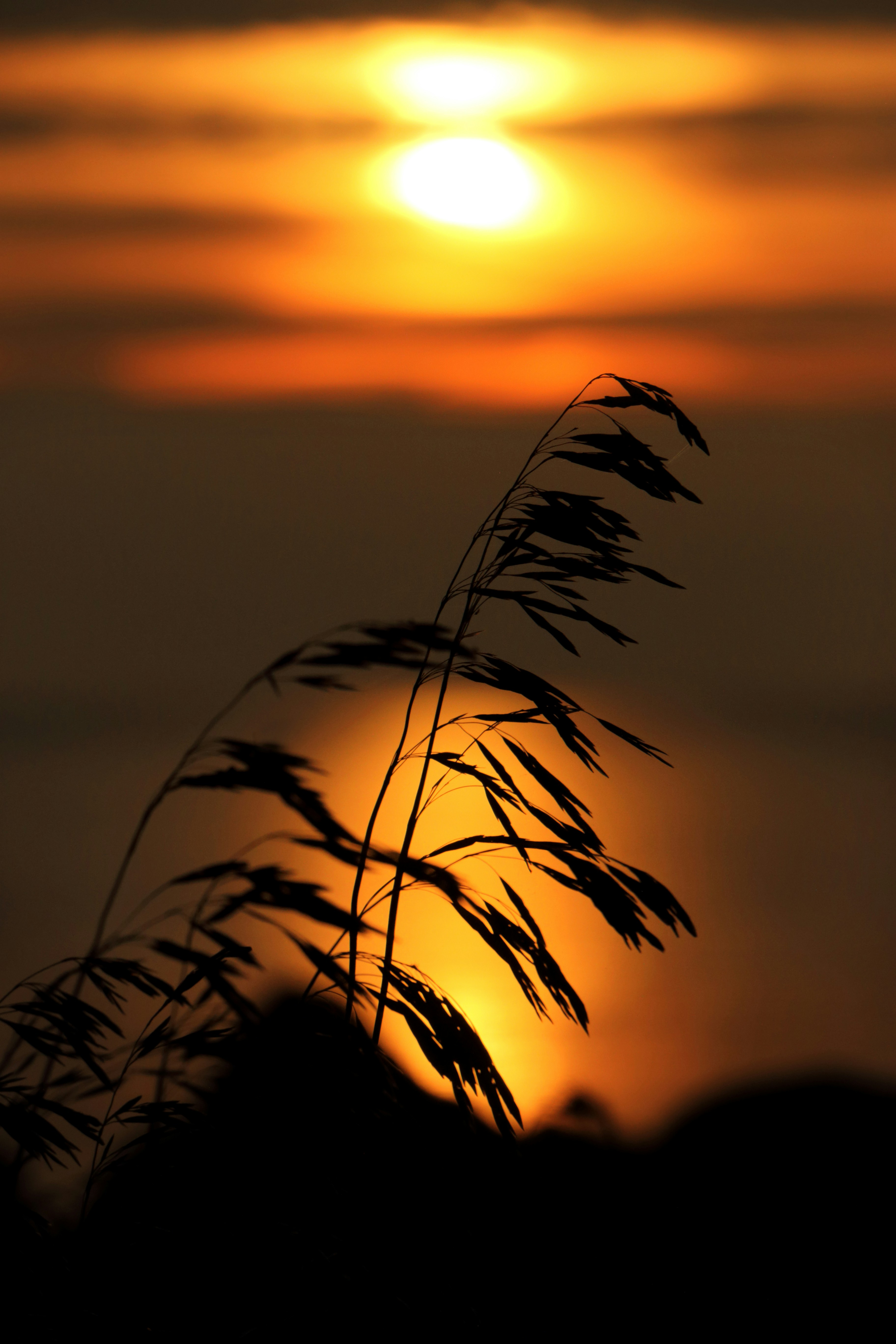 Gary Bendig (@kris_ricepees) | Unsplash Photo Community