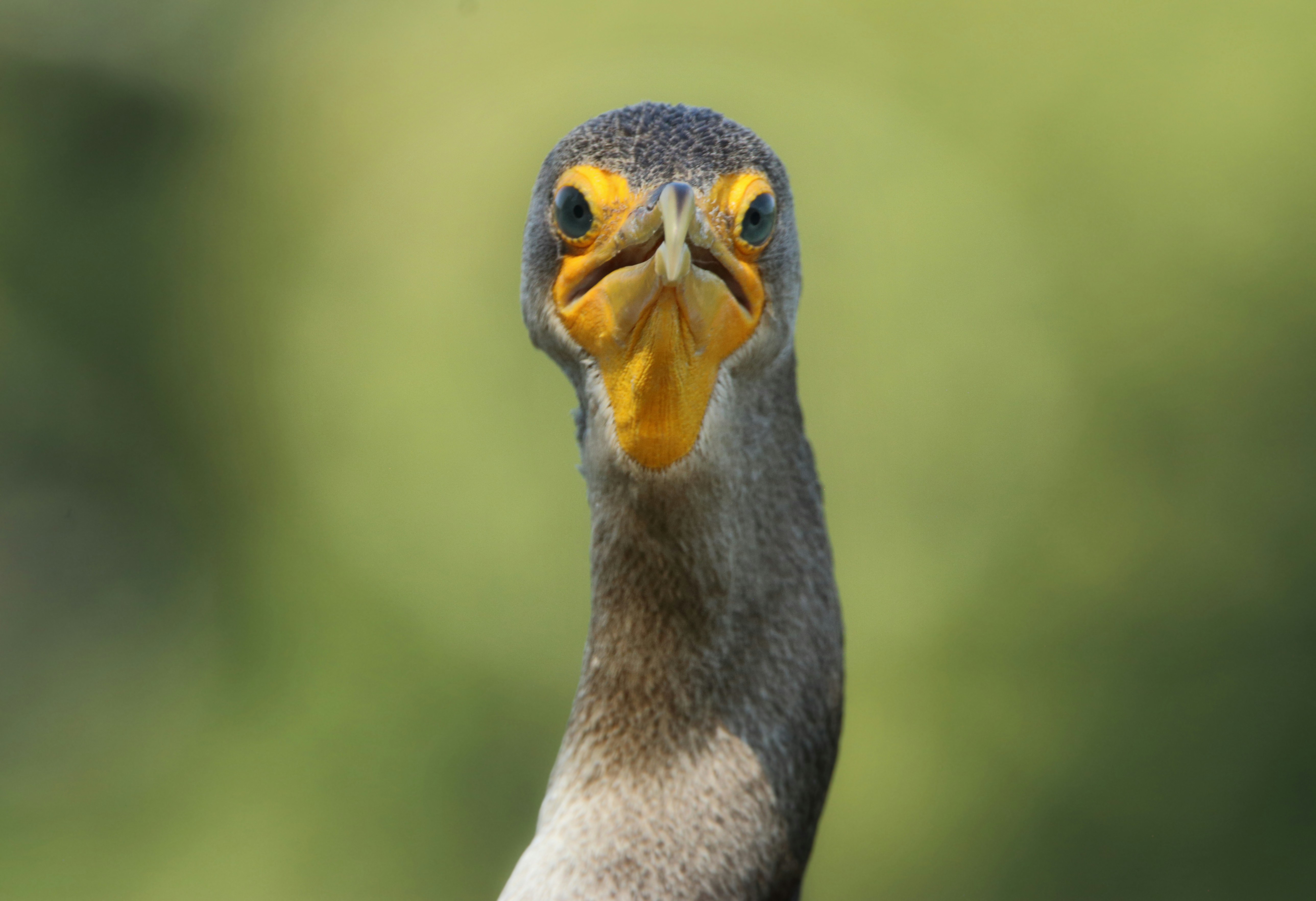 Gary Bendig (@kris_ricepees) | Unsplash Photo Community