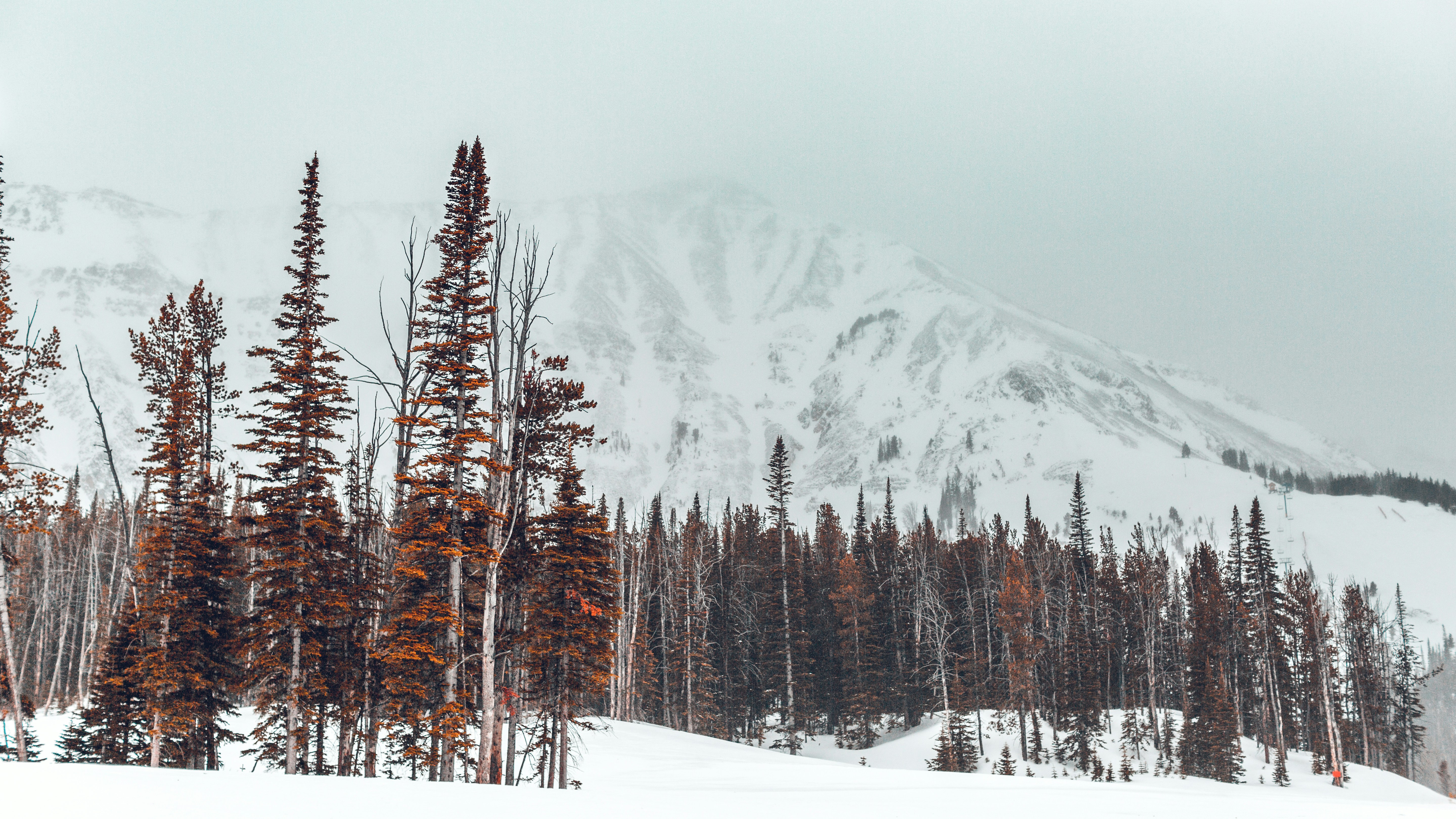 Winter | 100+ best free photos on Unsplash