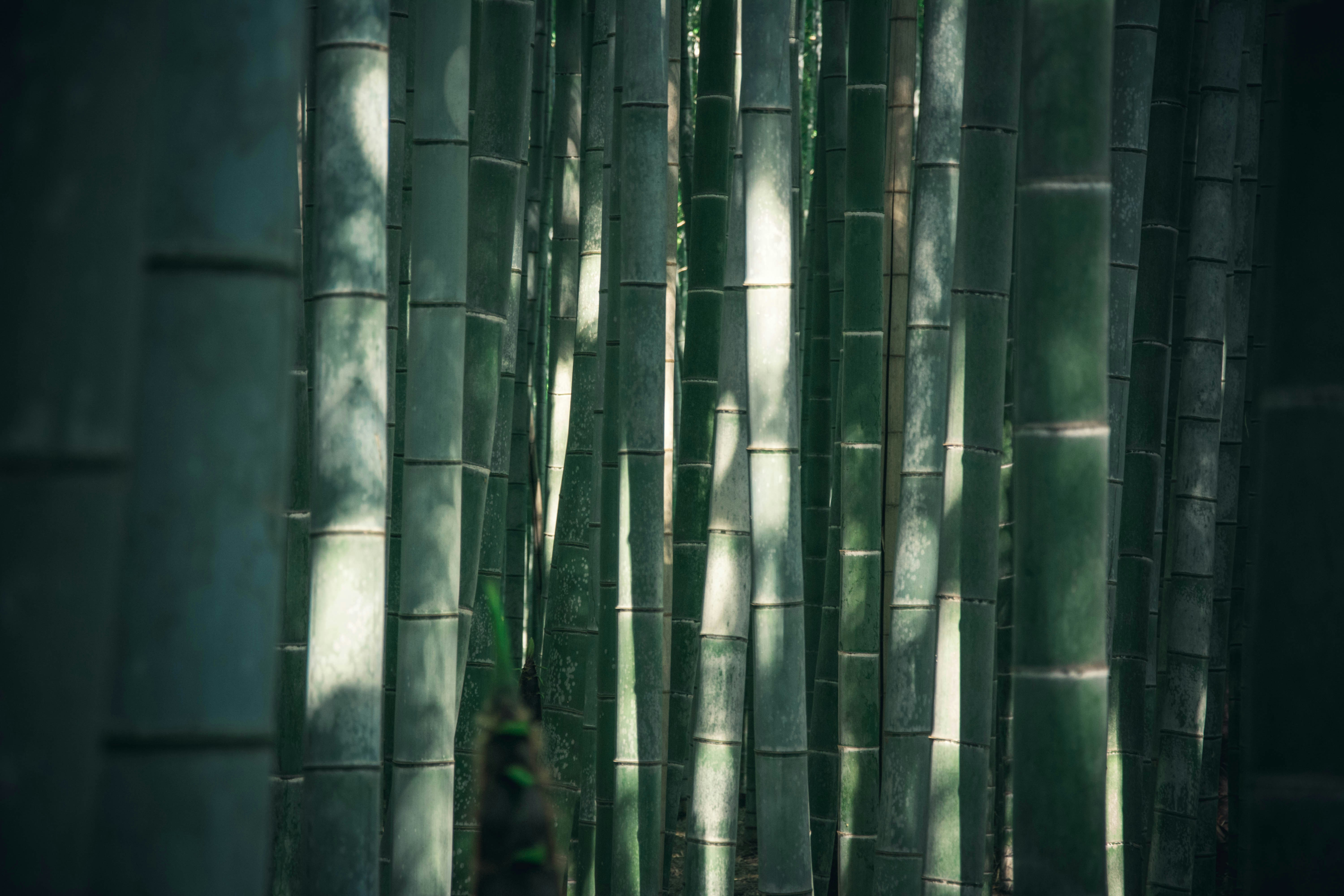 11 Creative Vertical Gardening Ideas For A Unique Backyard