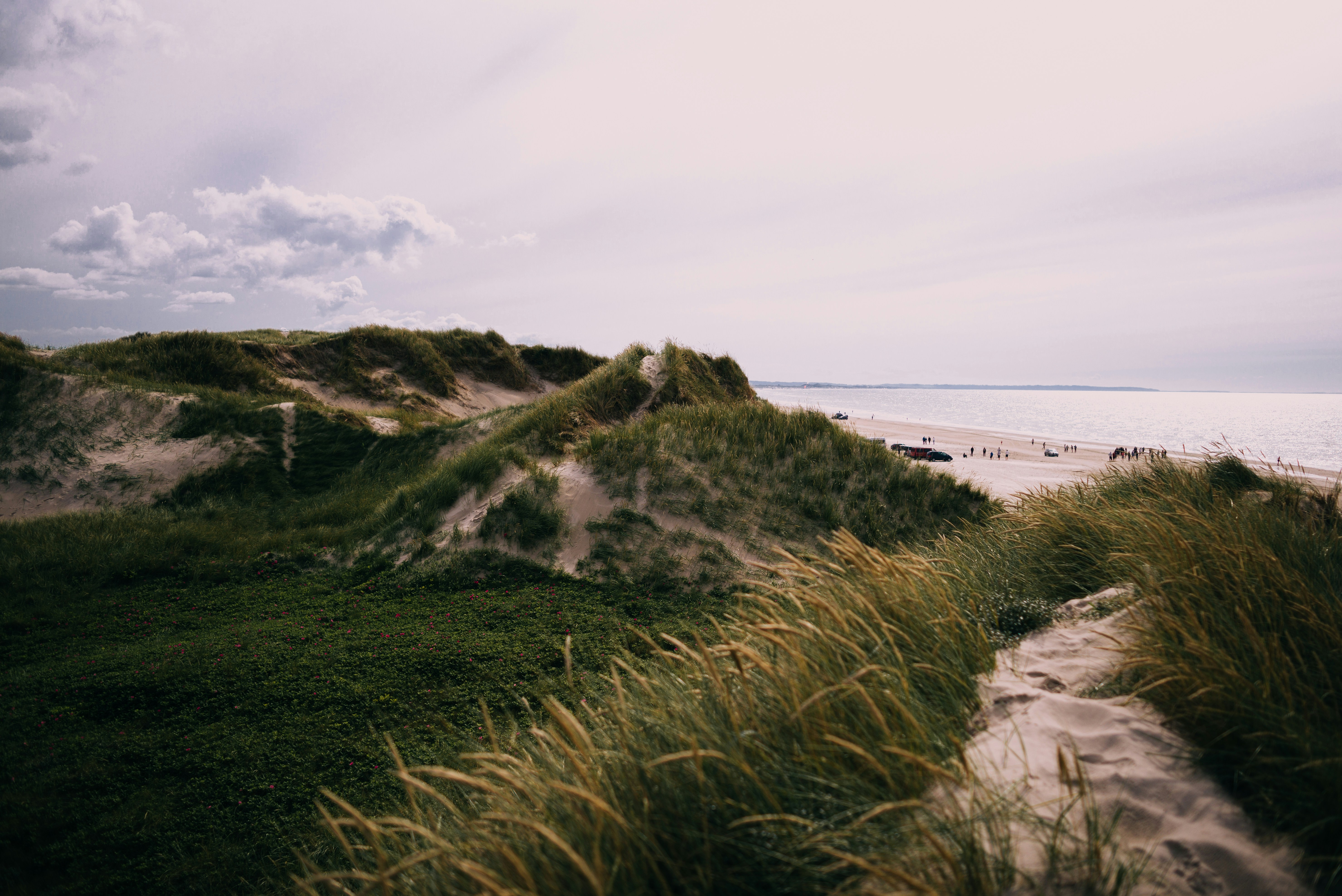 A place I used to see every single time I visited Denmark is Blokhus. Although it might be crowded and touristy from time to time in summer it’s extremly enjoyable just to relax sitting in the dunes and watching the people and cars passing by at the beach. | mountain covered by grass beside the seashore