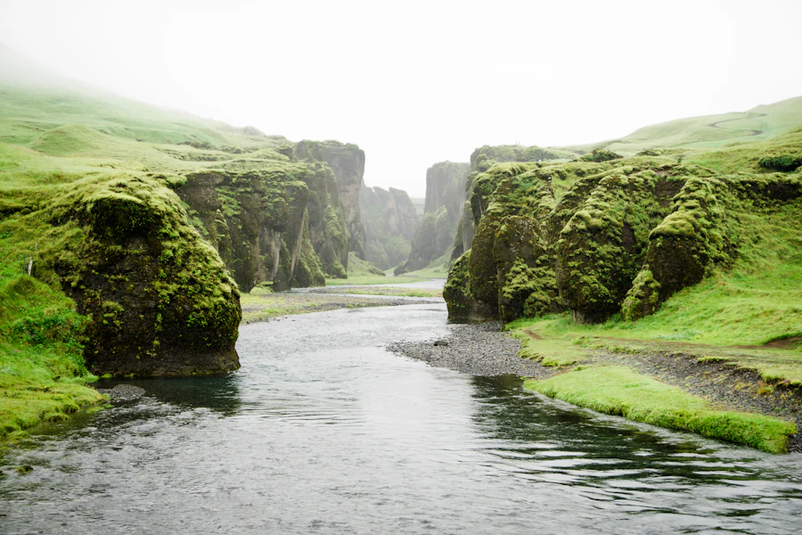 A river winds between steep moss-covered canyon walls under a bright misty sky. The scene feels quiet and remote, with green slopes fading into the fog.