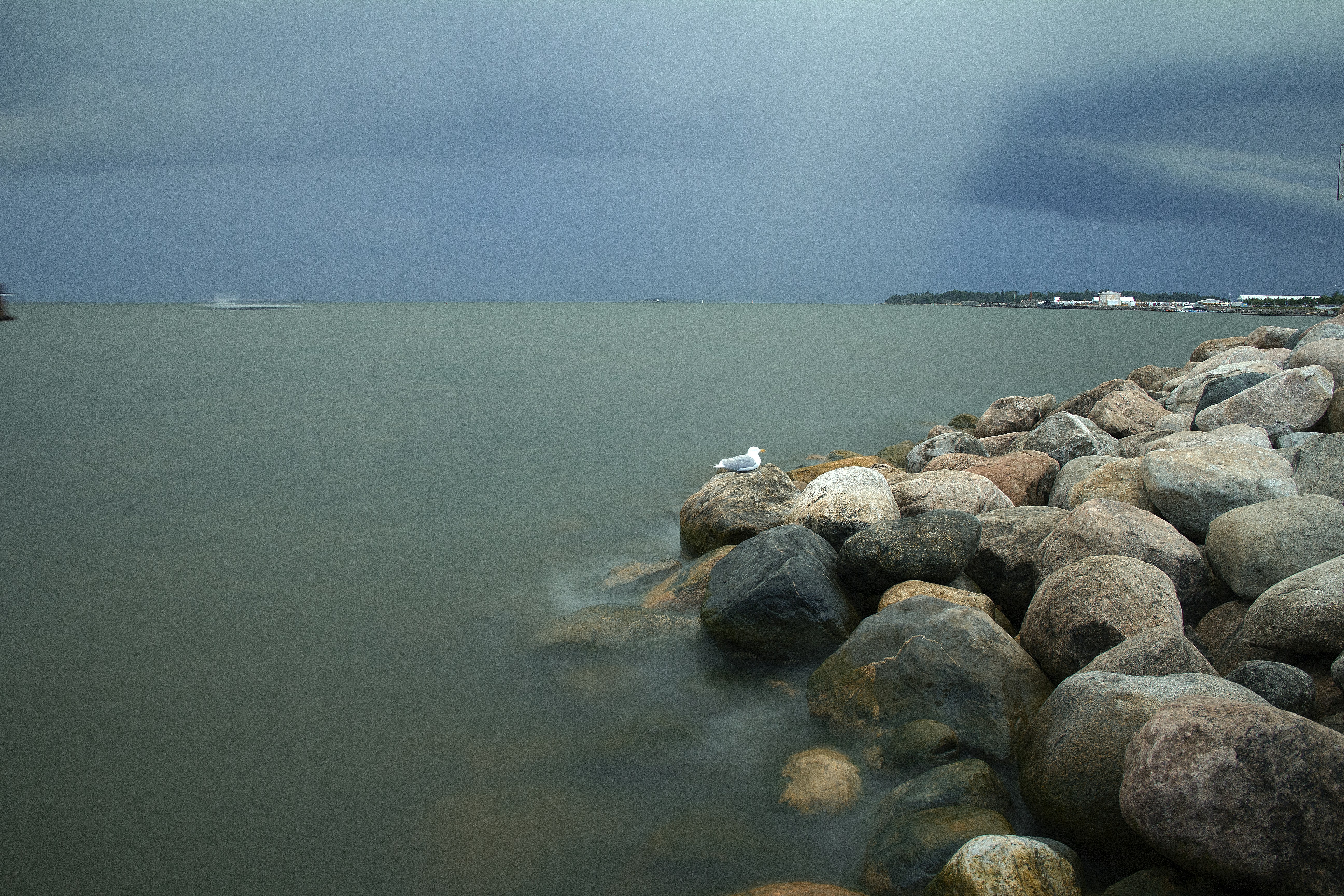 Seagull at the Breakwater: Quiet Contrast of Rock, Sea, and Moody Light