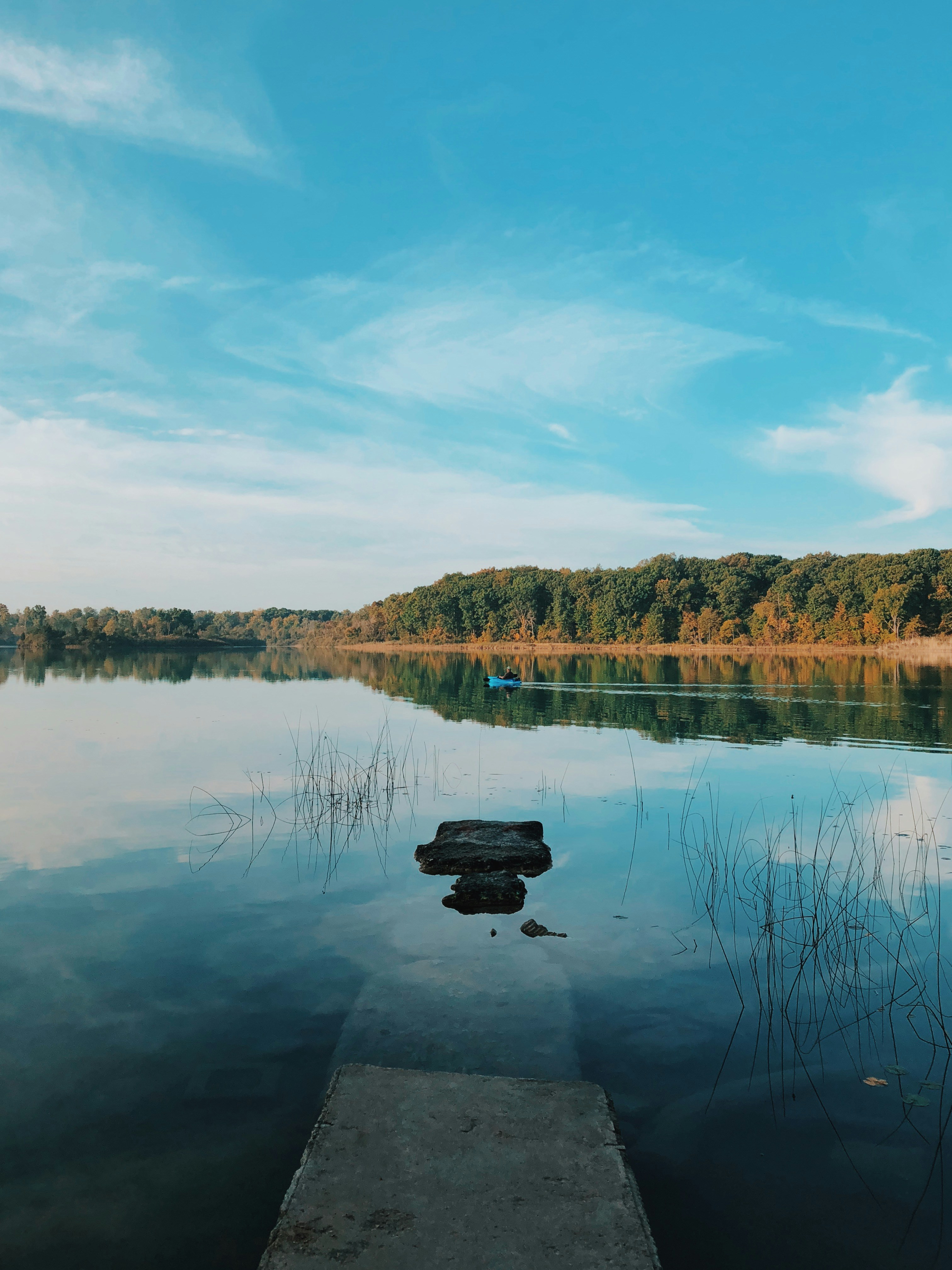 A serene lakeside view featuring a rocky path leading into calm waters, framed by lush greenery and a clear blue sky.