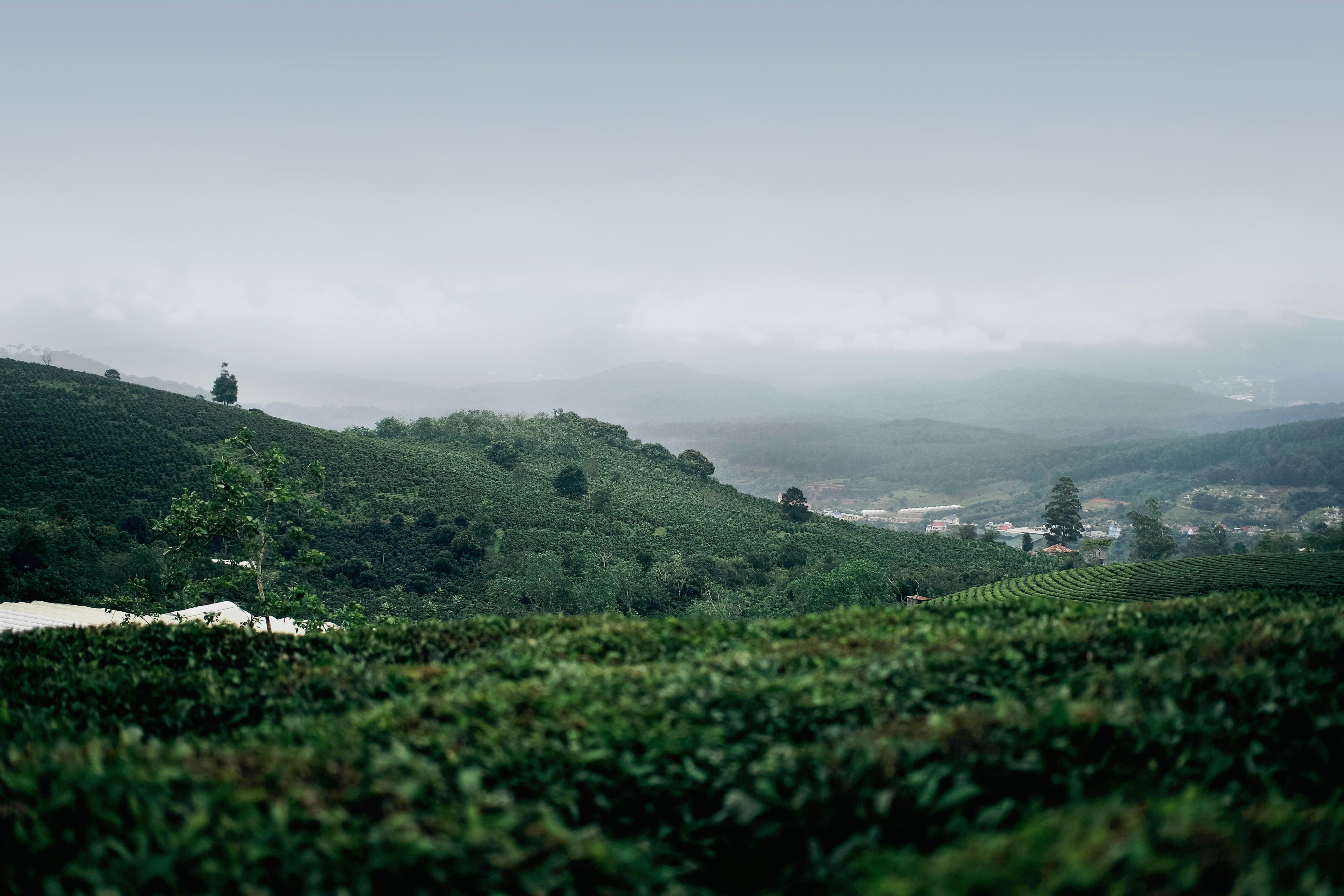 Just a day in my favorite place | landscape photography of hills under foggy sky