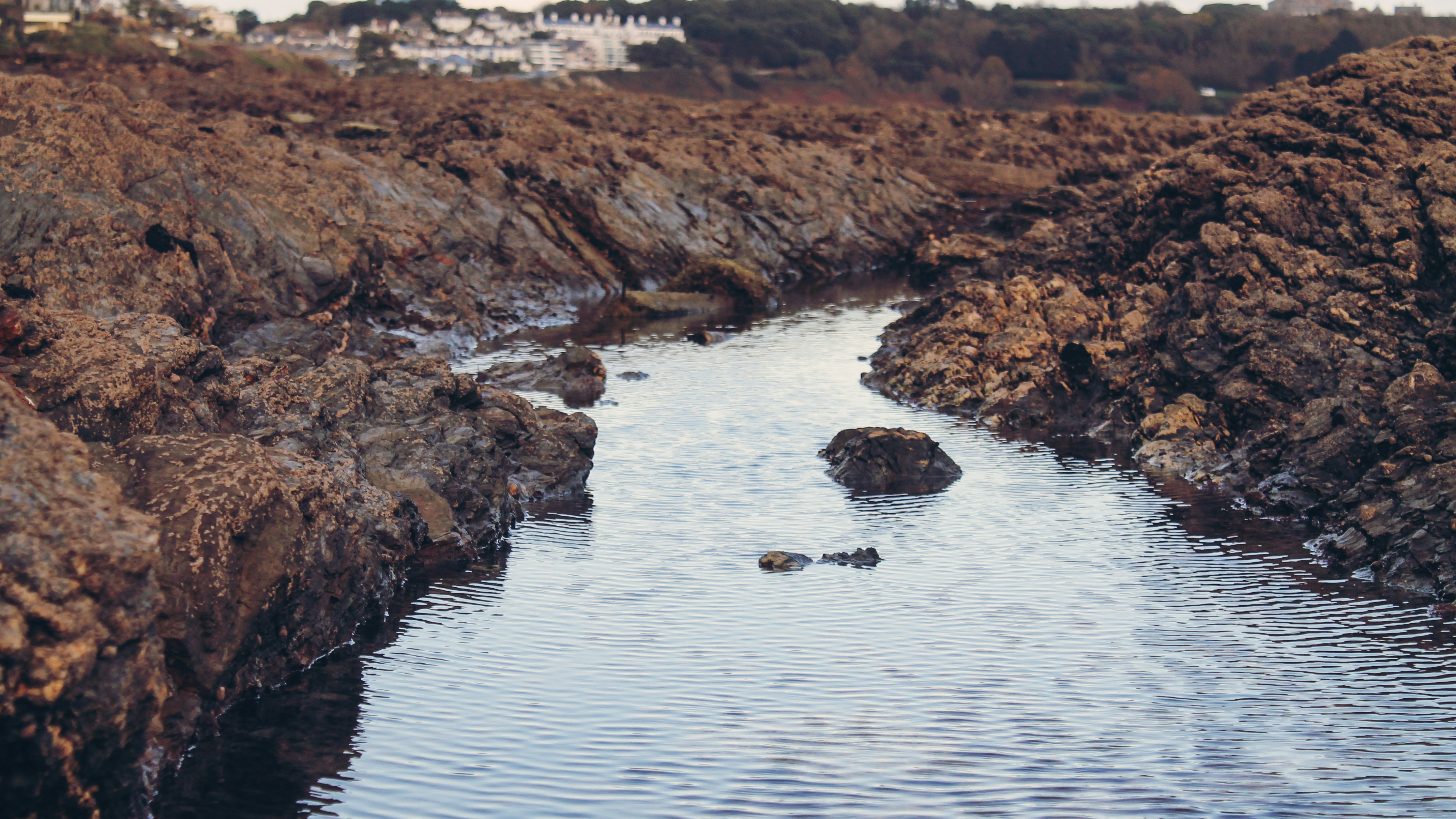Rockpool Pictures | Download Free Images on Unsplash