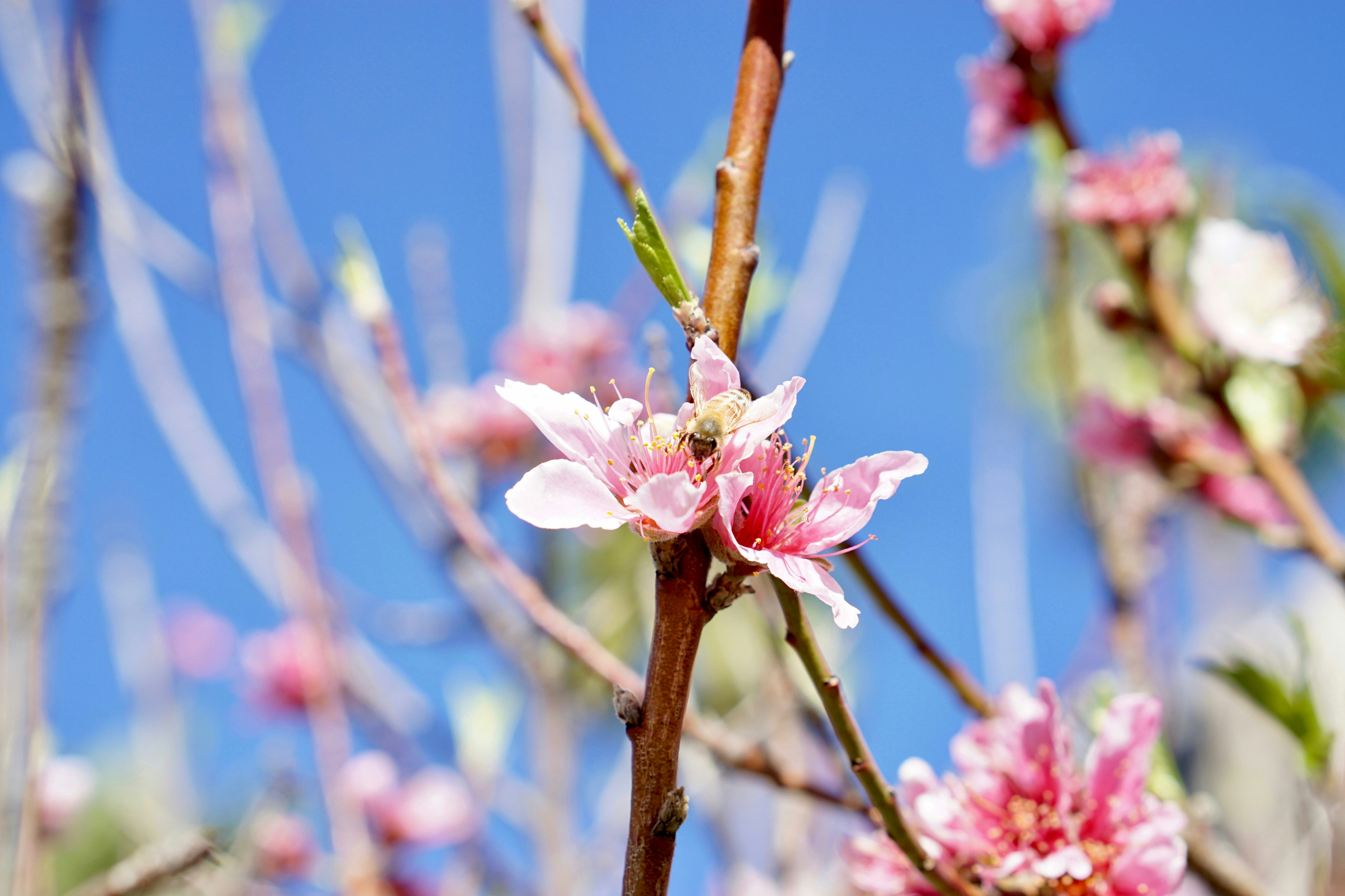 Alex Chambers (@alexchambers) | Comunidad de fotos de Unsplash