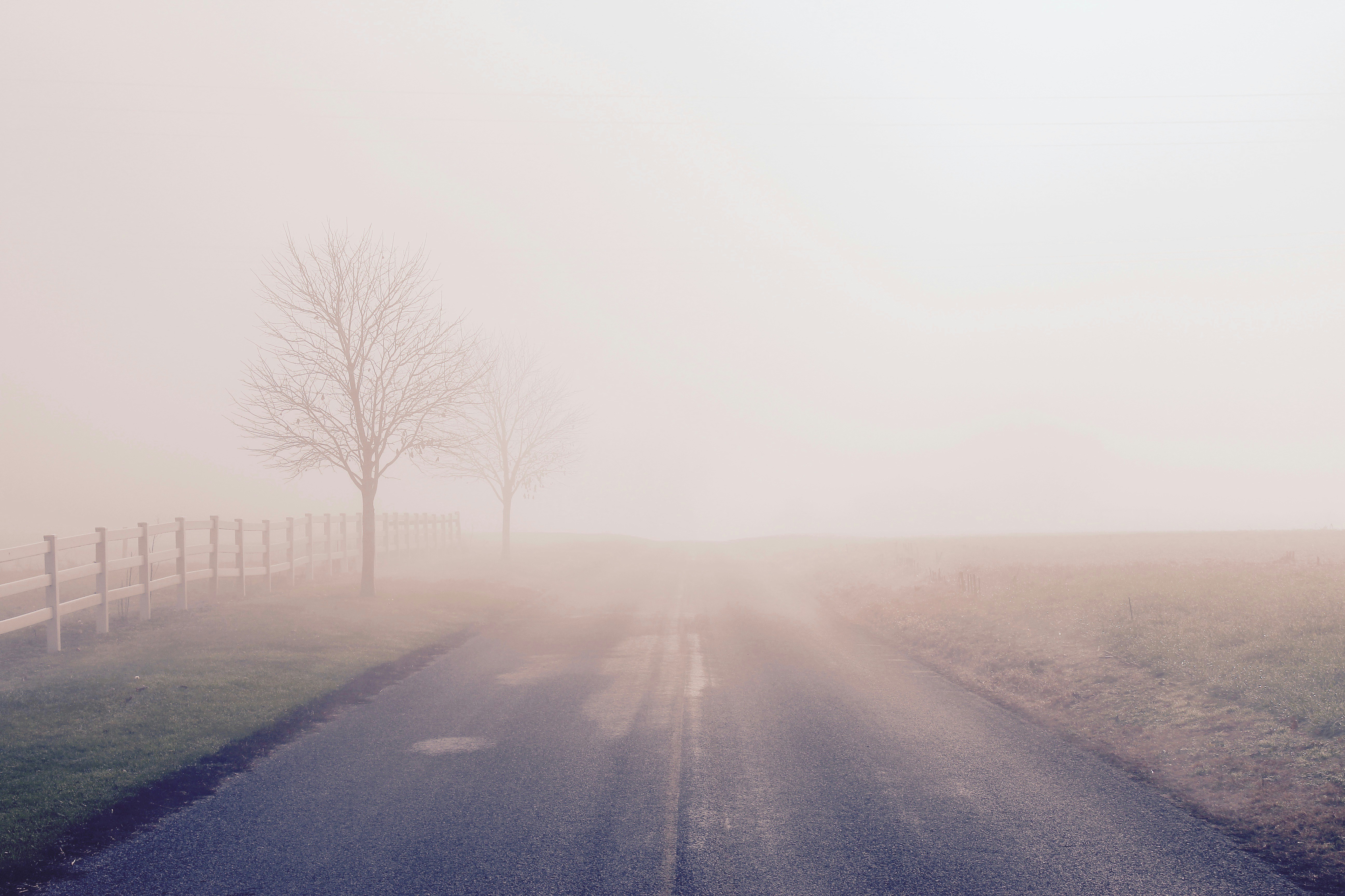Foggy rural road with bare trees and a fence fading into the mist.