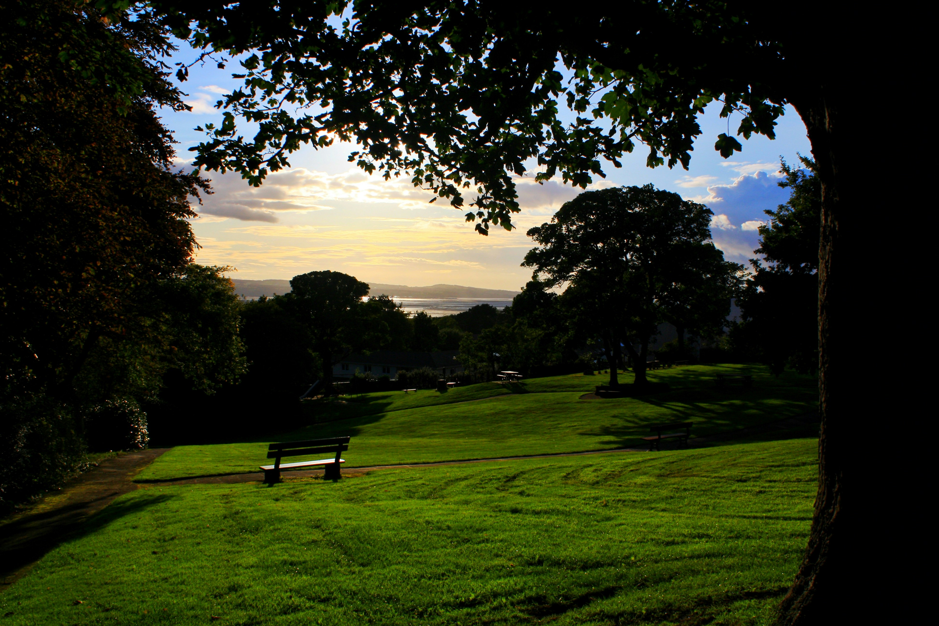 Sophie Fitzpatrick (@sophiefitzpatrick) | Unsplash Photo Community