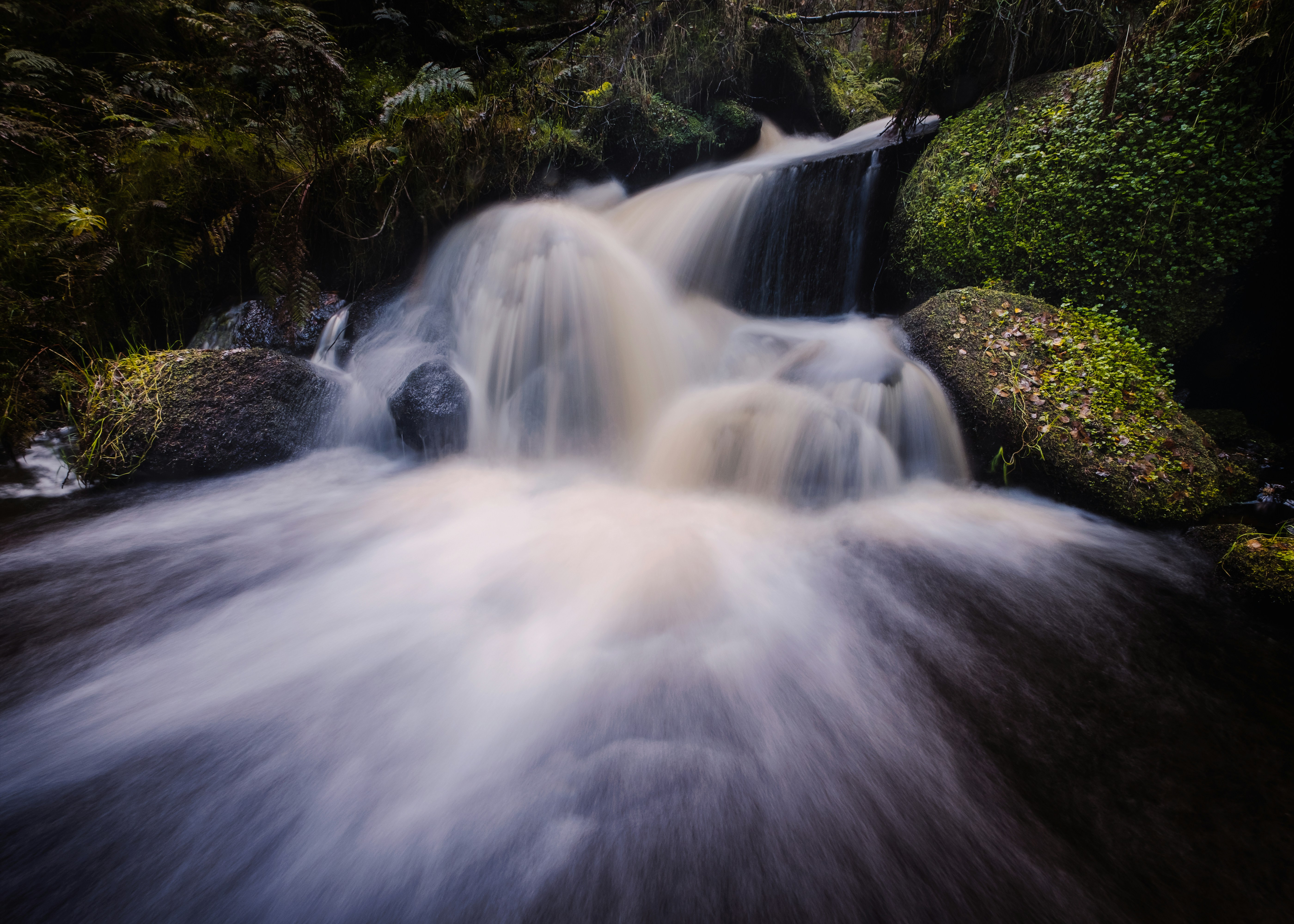 Waterfall cascading over rocks surrounded by lush greenery.