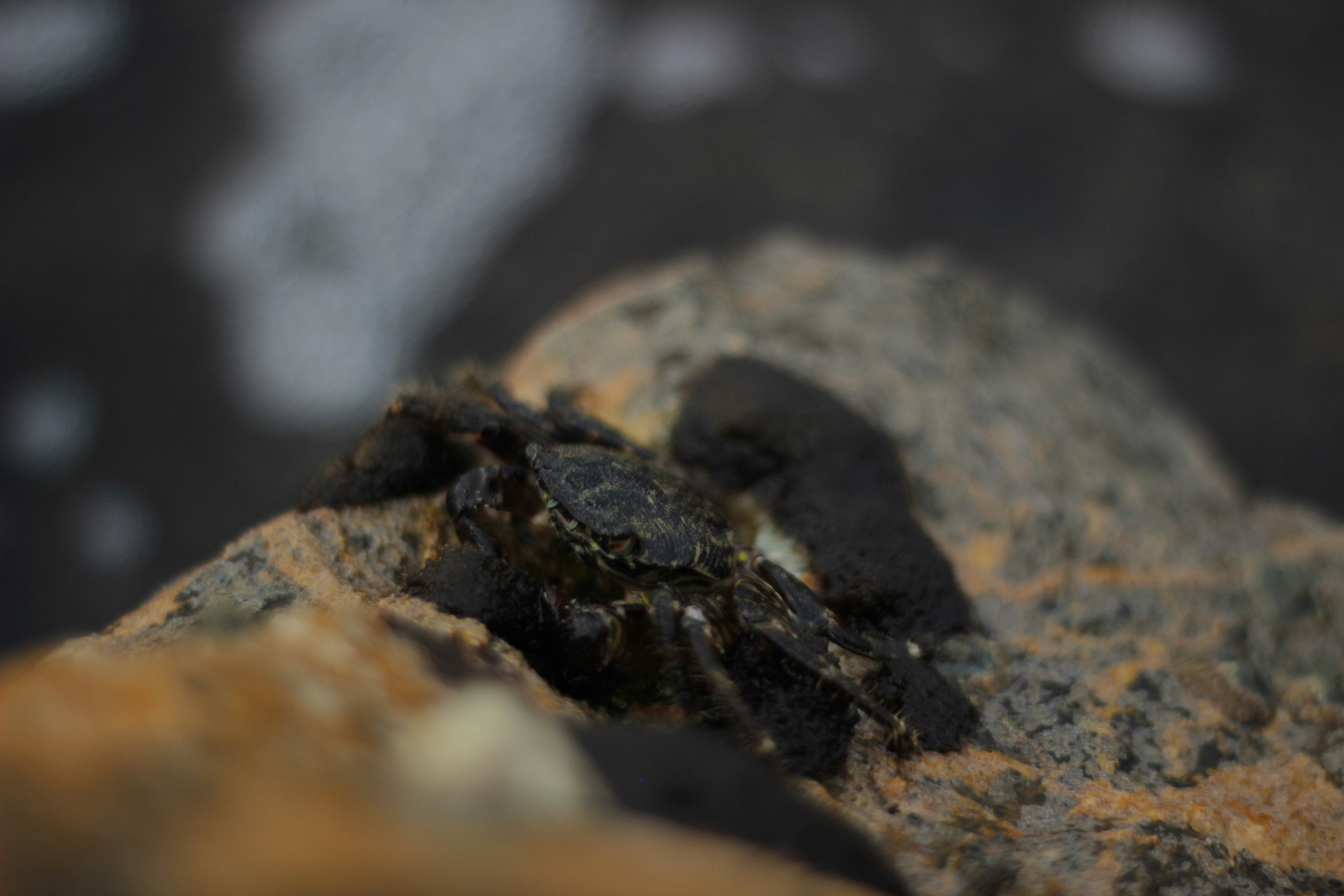 Audronė Locaitytė (@audronel) | Comunidade de fotos da Unsplash