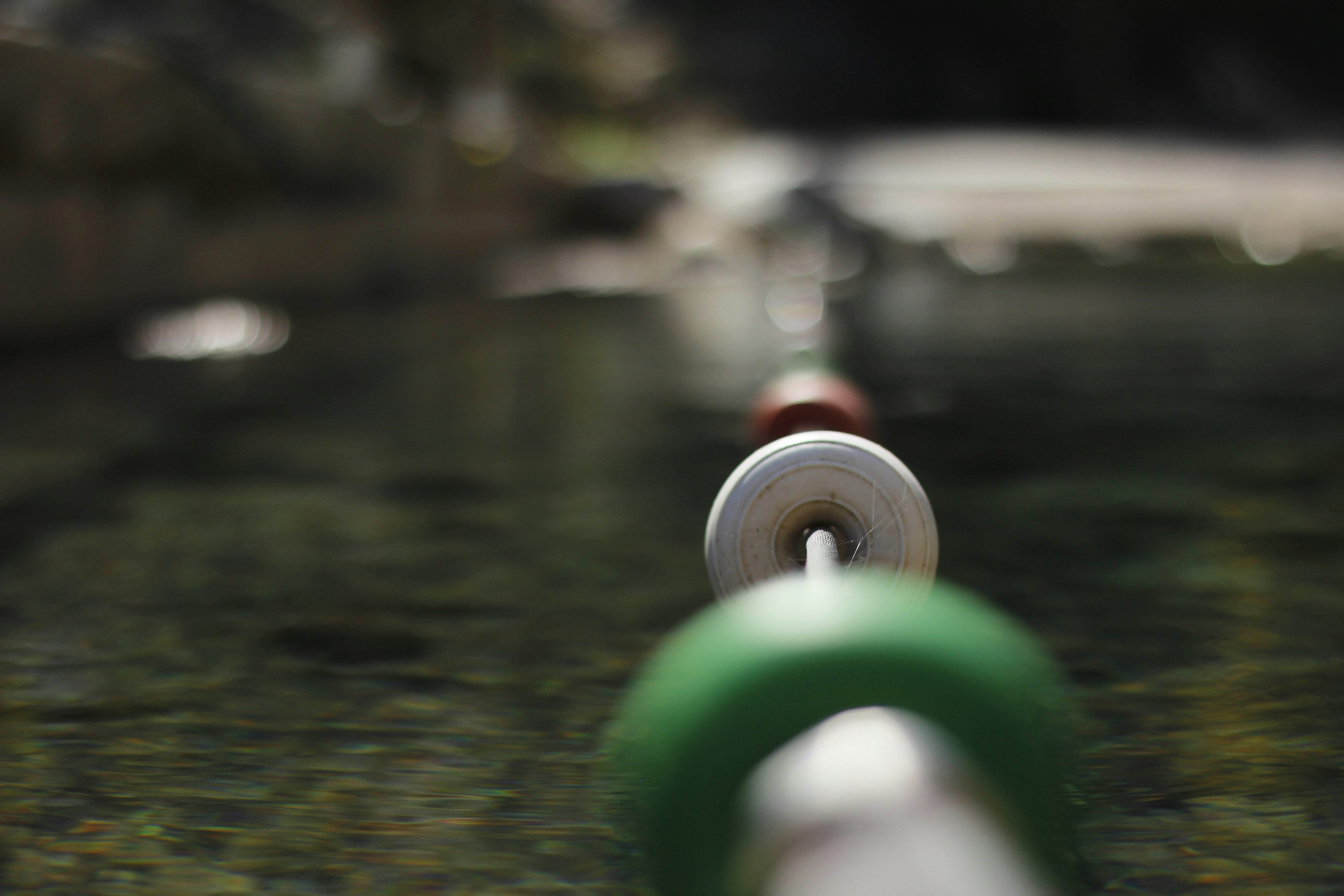 Audronė Locaitytė (@audronel) | Comunidade de fotos da Unsplash