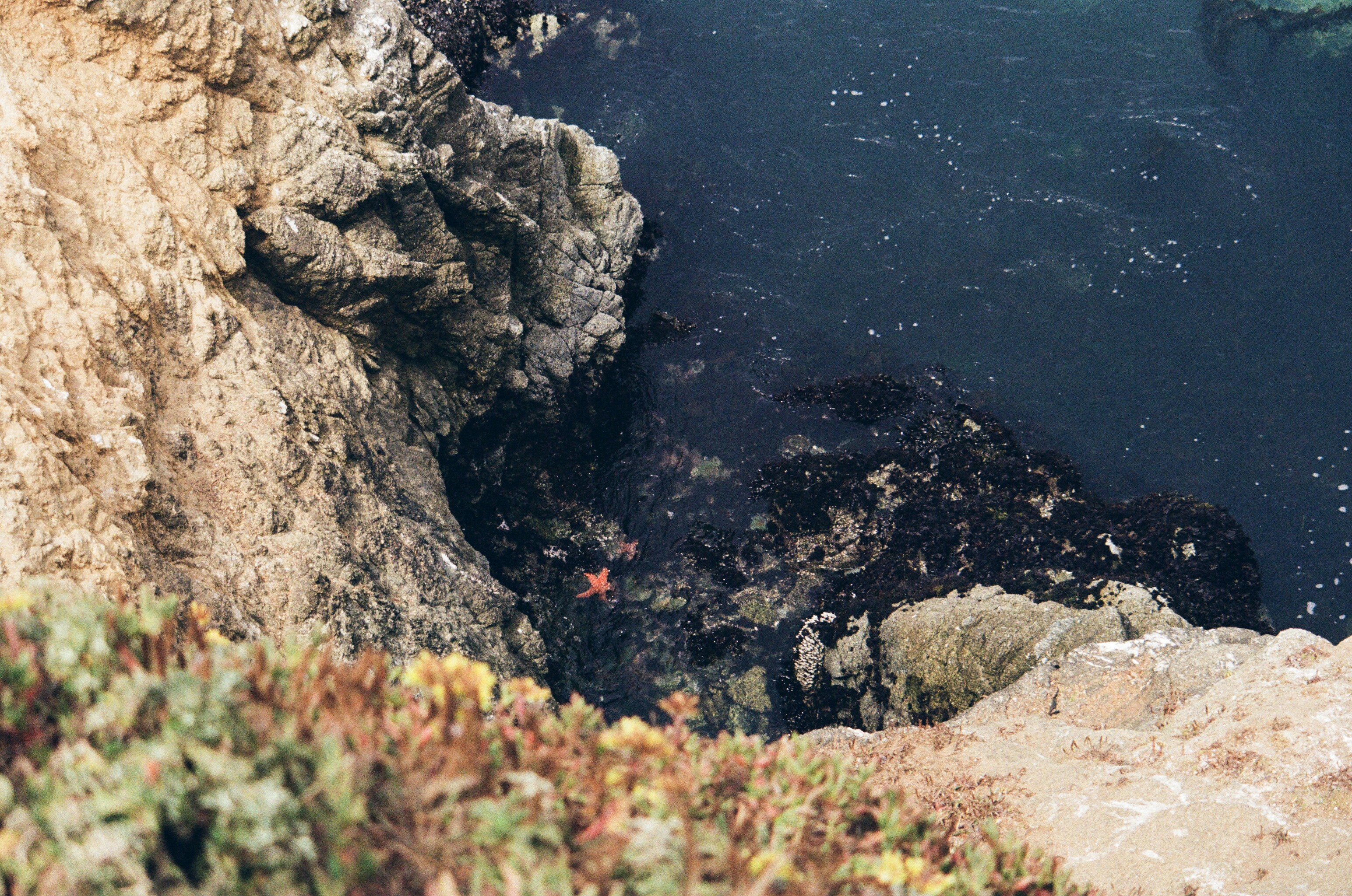 Steven Striegel (@sstriegs) | Unsplash Photo Community