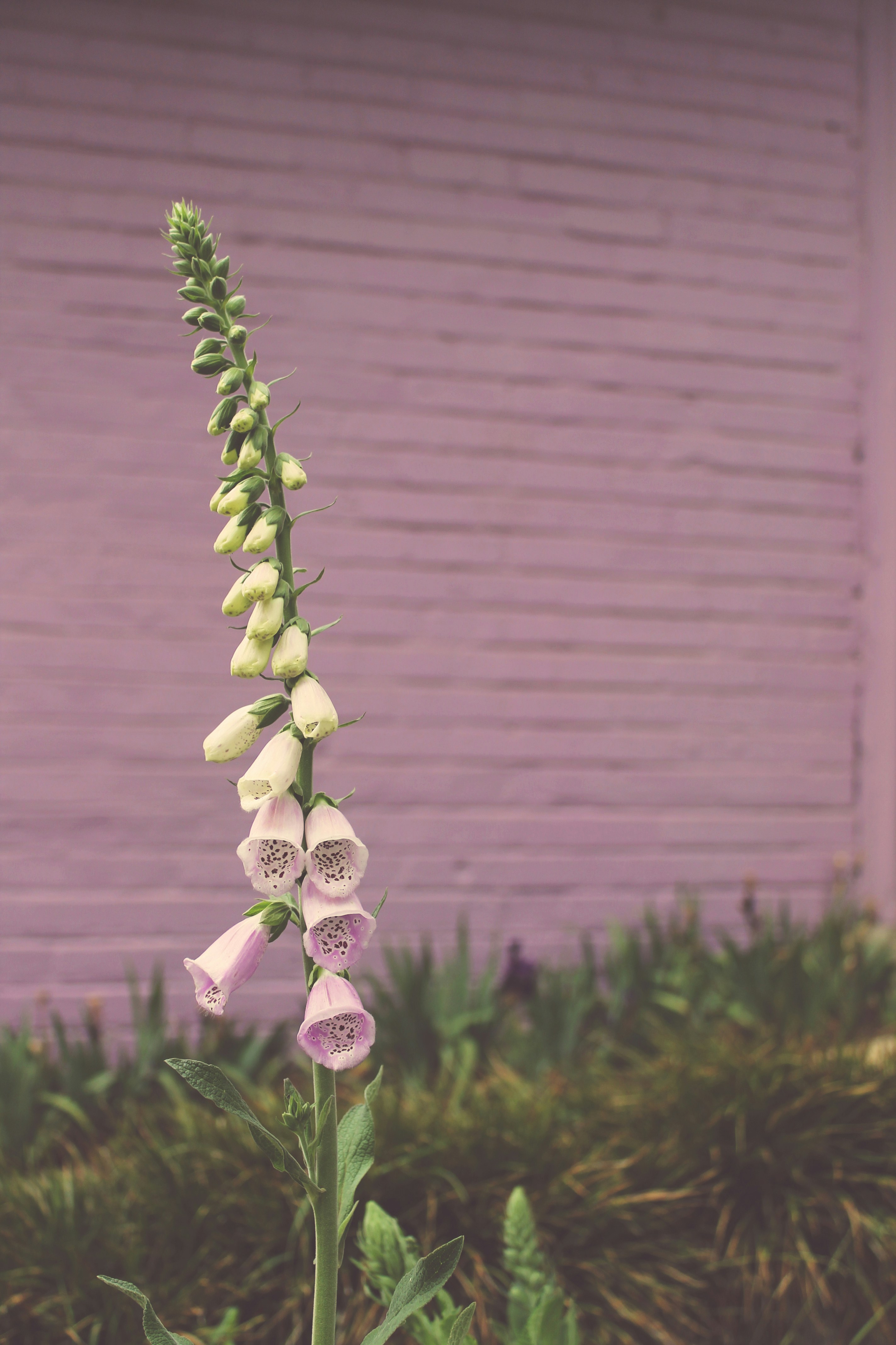 Cristy Zinn (@c_zinn) | Unsplash Photo Community