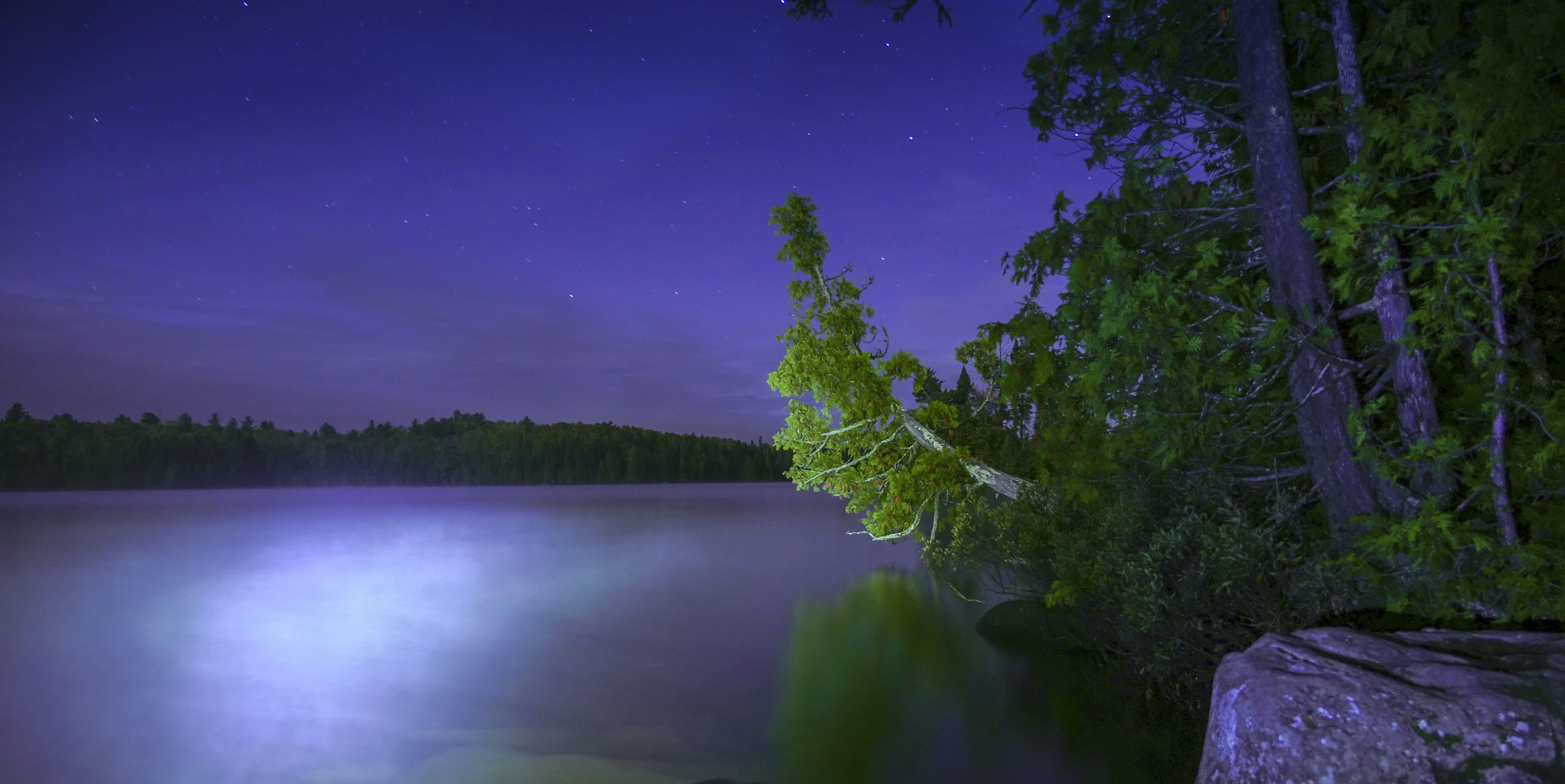 Night Dreams