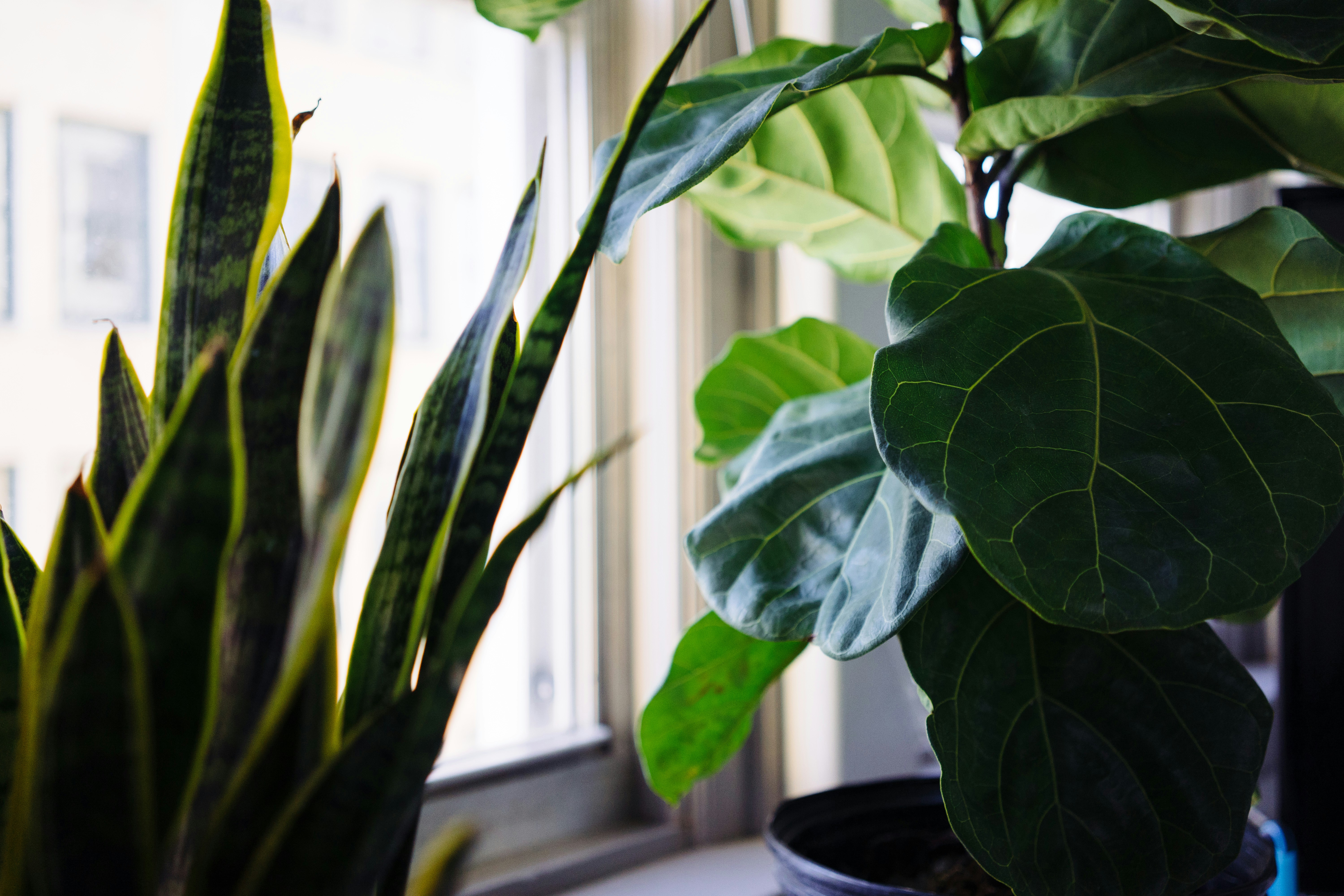 Nick Morrison (@nickmorrison) | Unsplash Photo Community