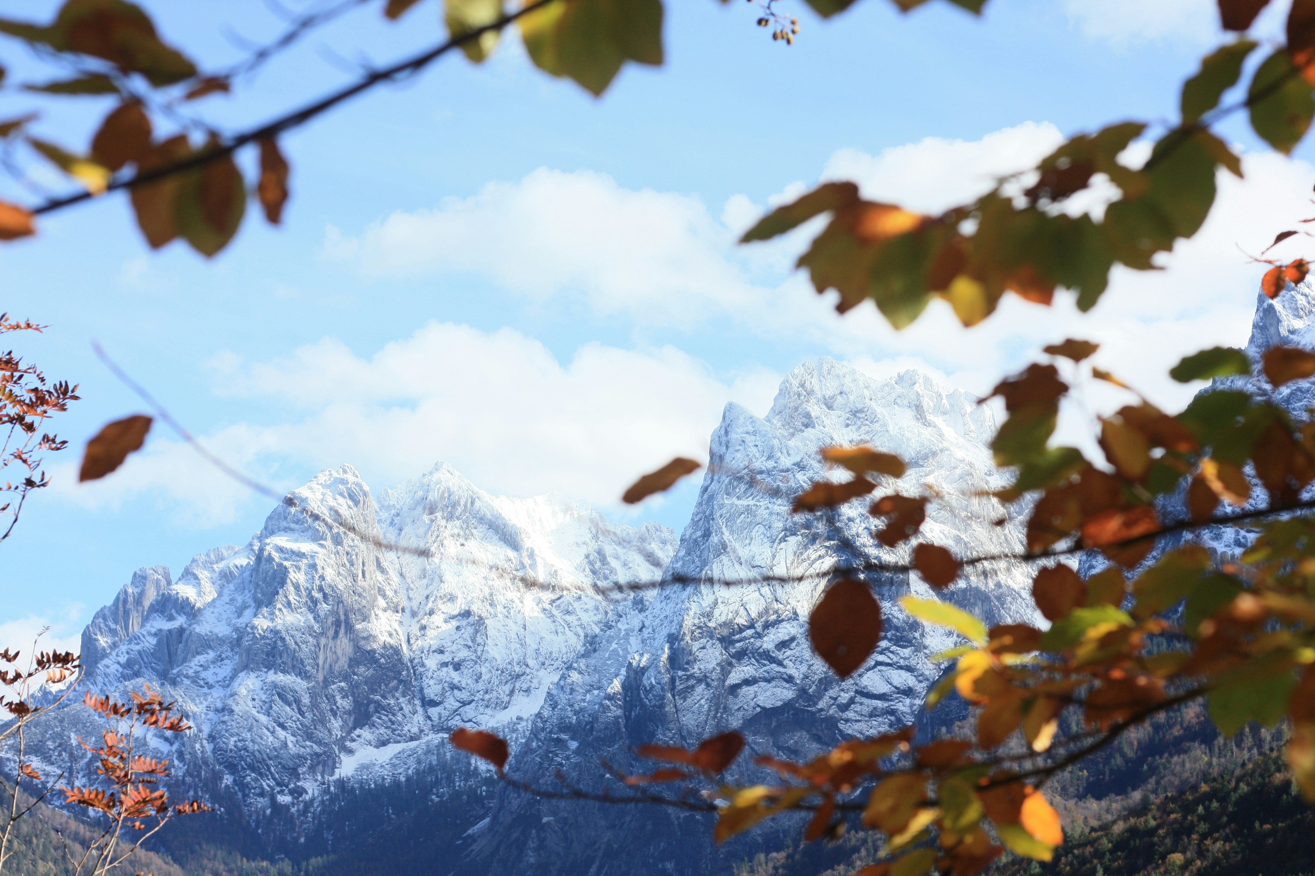 Autumn Veil Framing Snowbound Peaks