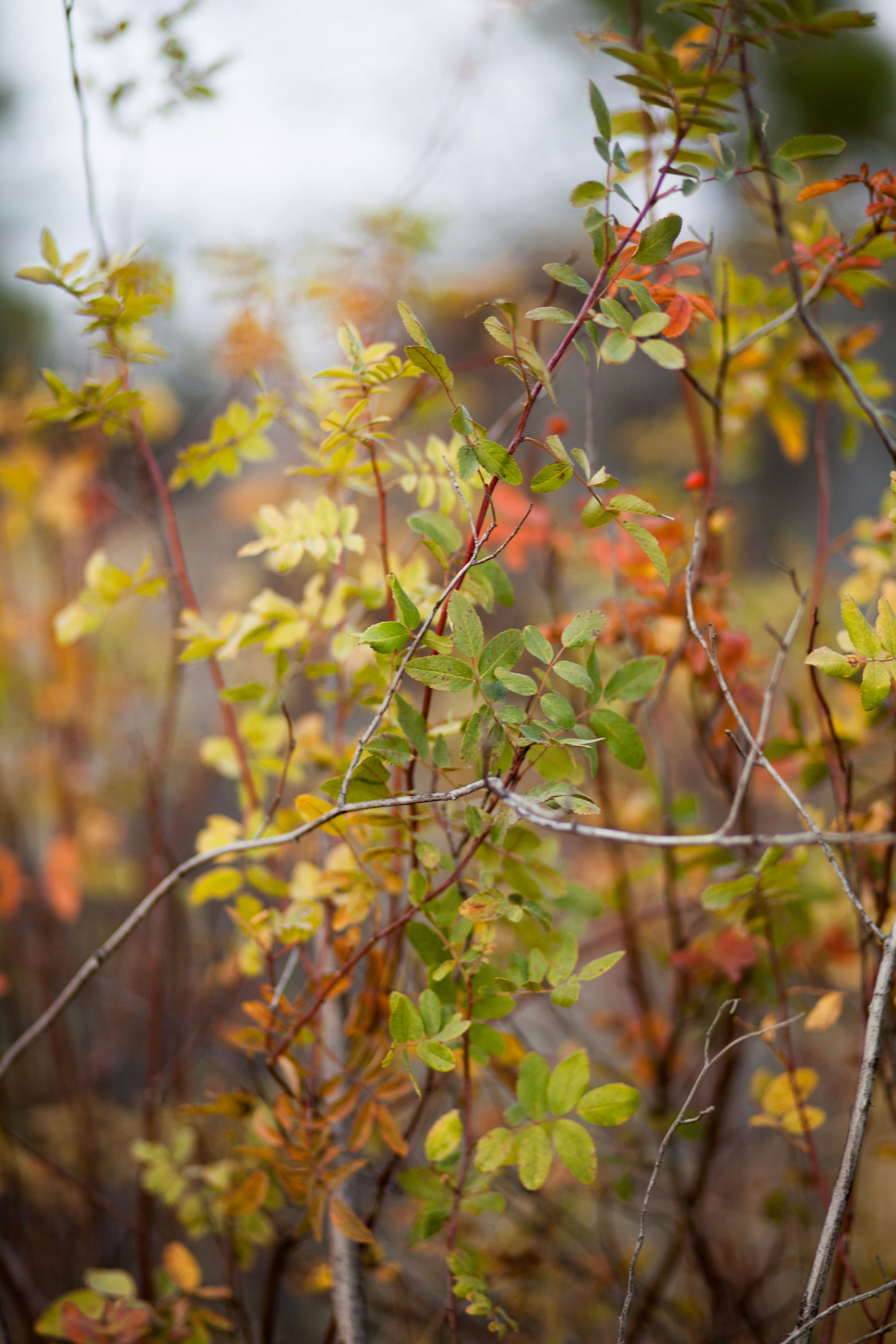 Bethany Laird (@bethlaird) | Komunitas Foto Unsplash