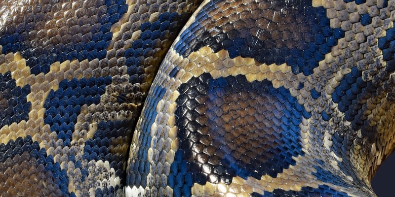 Mastering Concurrency in Python: From Basics to Advanced Techniques ... Mastering Concurrency in Python: From Basics to Advanced Techniques ...